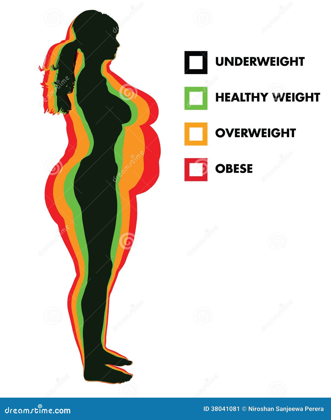 De Categorieën Van De De Massaindex Bmi Van Het Vrouwenlichaam Vector
