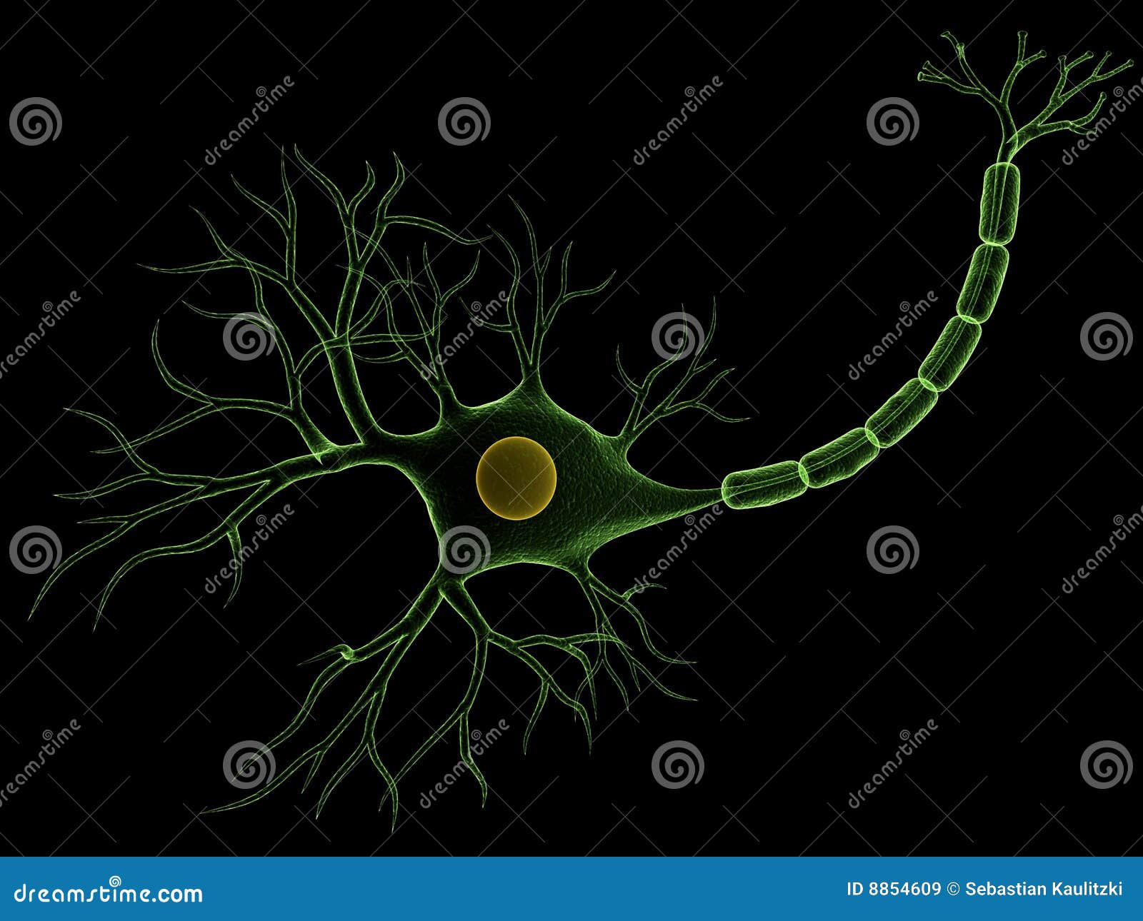 De cel van de zenuw stock illustratie. Illustration of synaps - 8854609