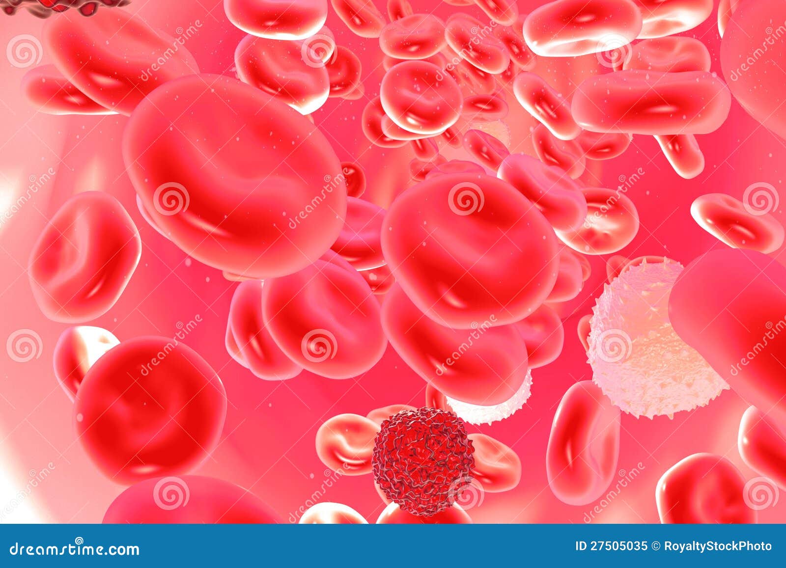 De Cel Van Kanker En Rode Bloedcel, Leucocyt Stock Illustratie ...