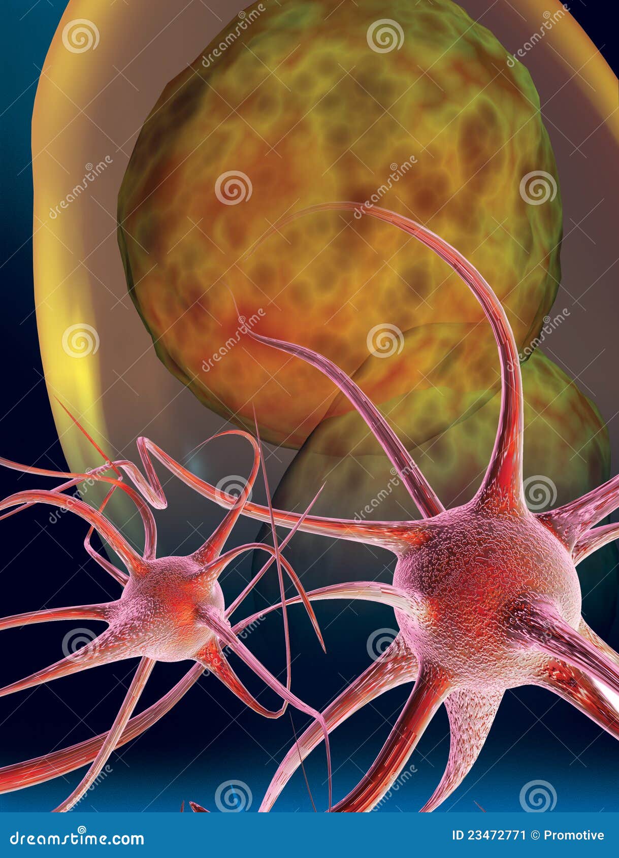 De cellen van de zenuw stock illustratie. Illustration of neurologie ...
