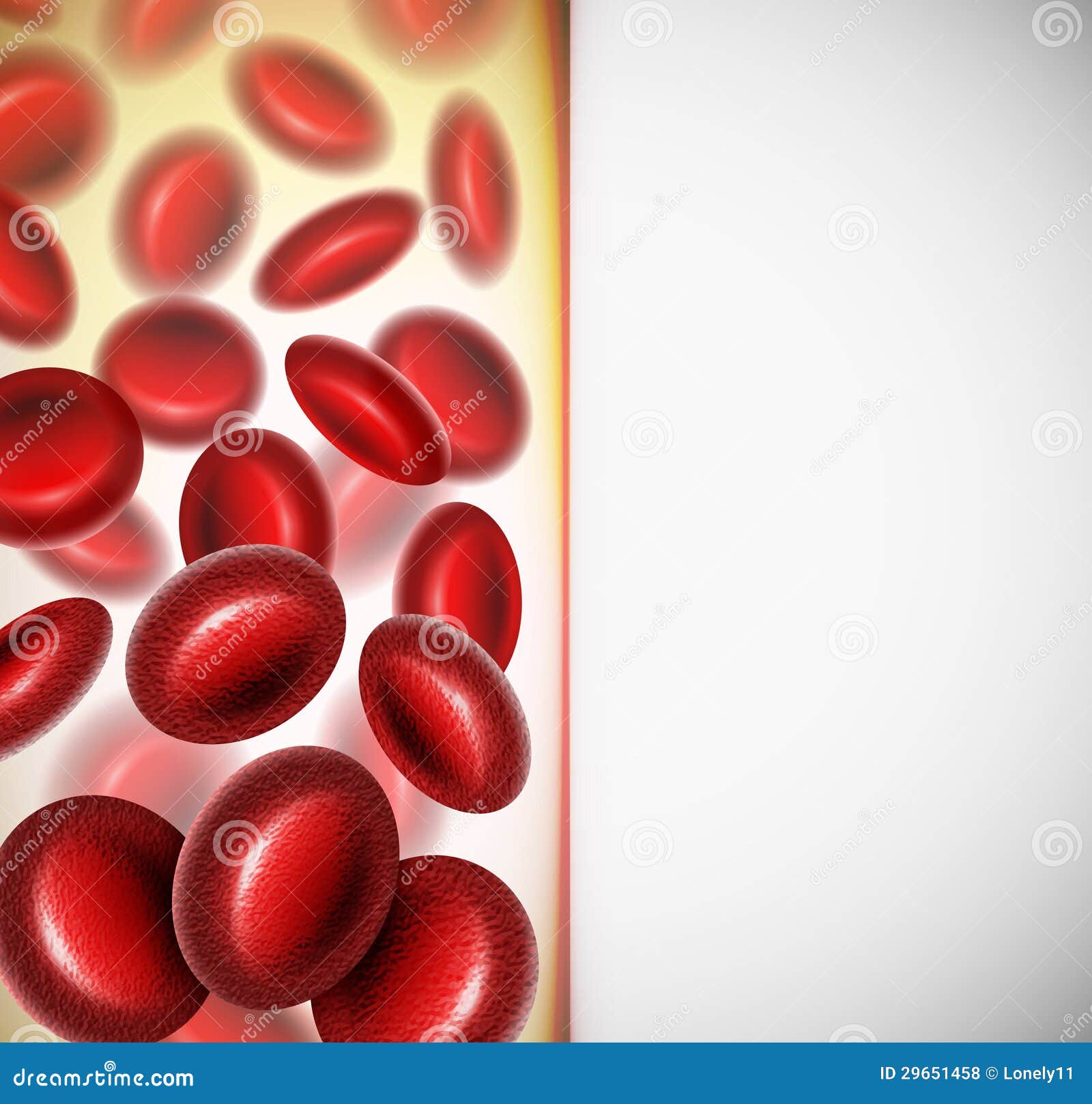 De cellen van het bloed vector illustratie. Illustration of cellen ...