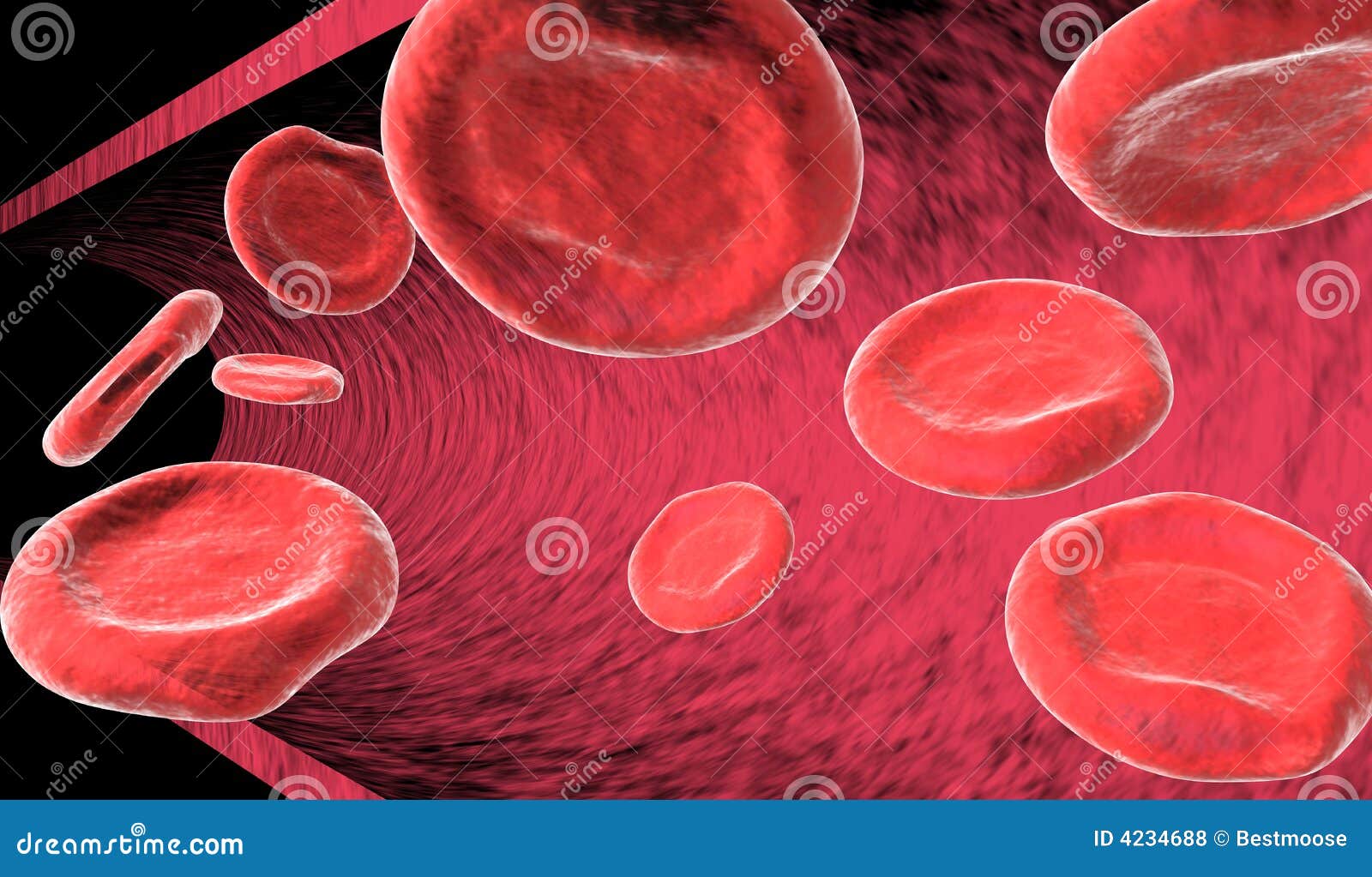 De Cellen Van Het Bloed in Slagader Stock Illustratie - Illustration of ...