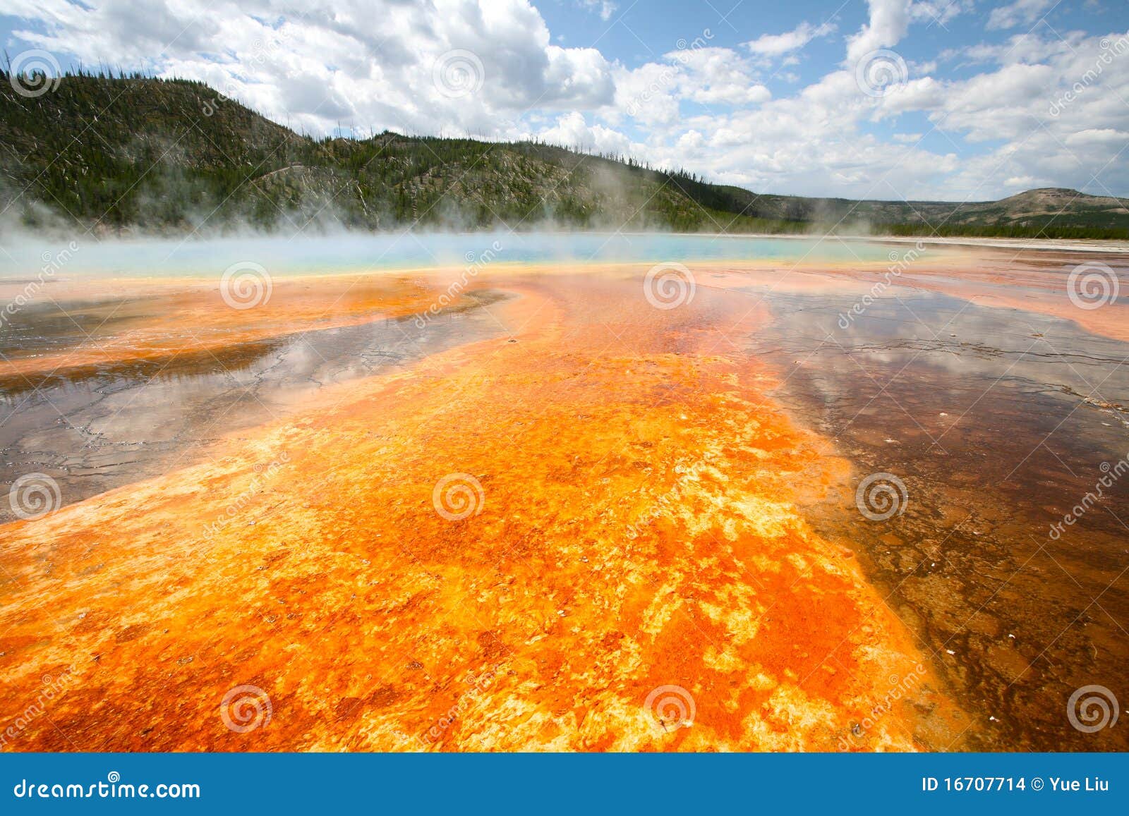 De Centrale Gele Steen Np Van Het Geiserbassin Stock Foto - Image of ...