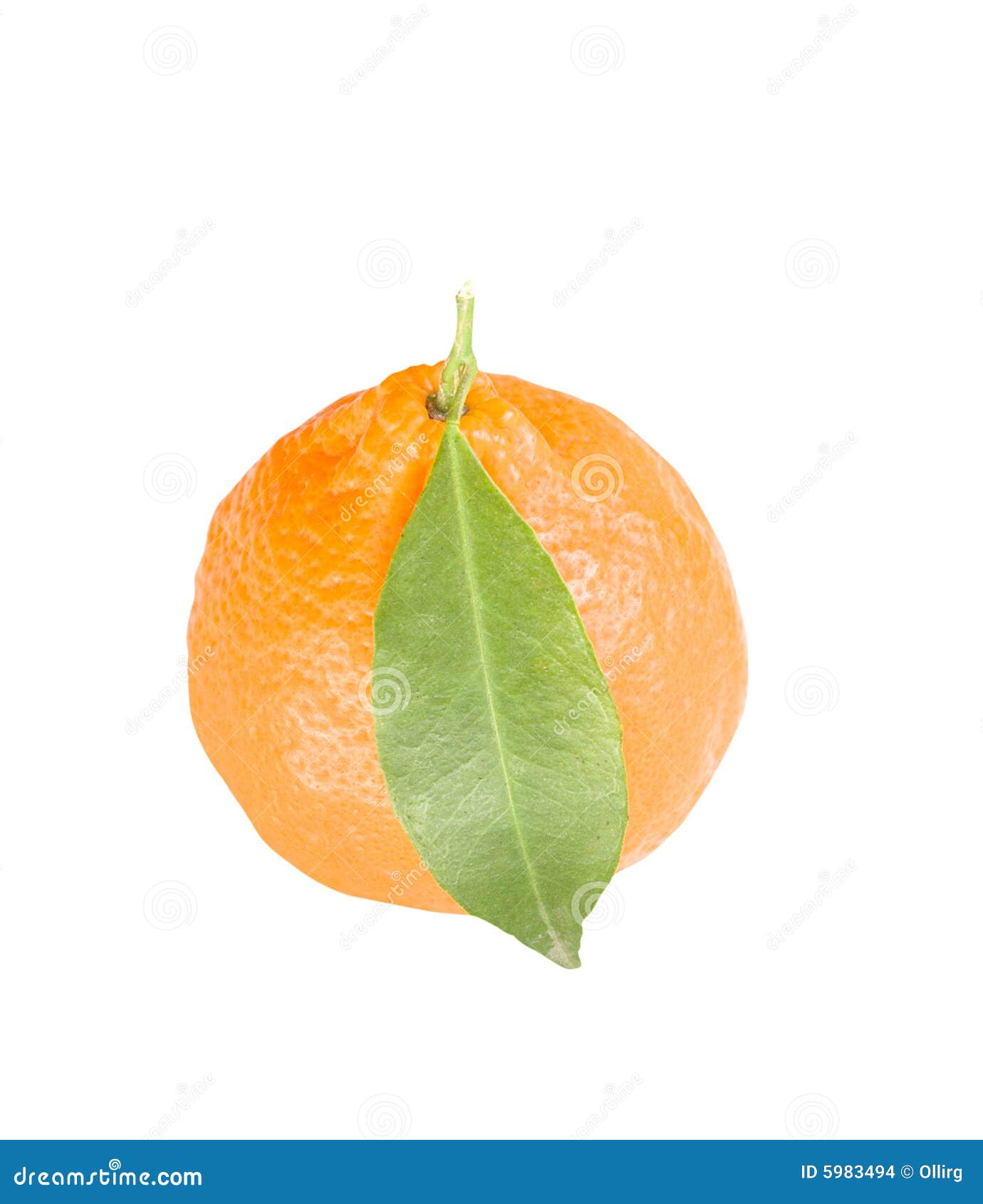 De Citrusvrucht Van De Mandarijn Stock Foto - Image of dieet, kleur ...