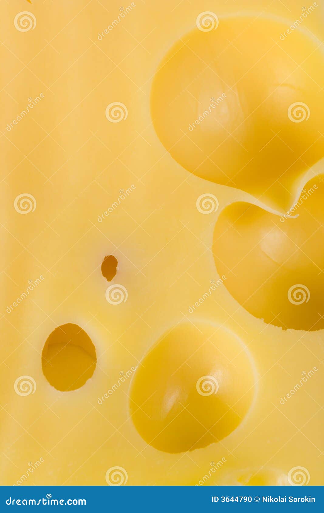 De close-up van de kaas stock foto. Image of achtergronden - 3644790