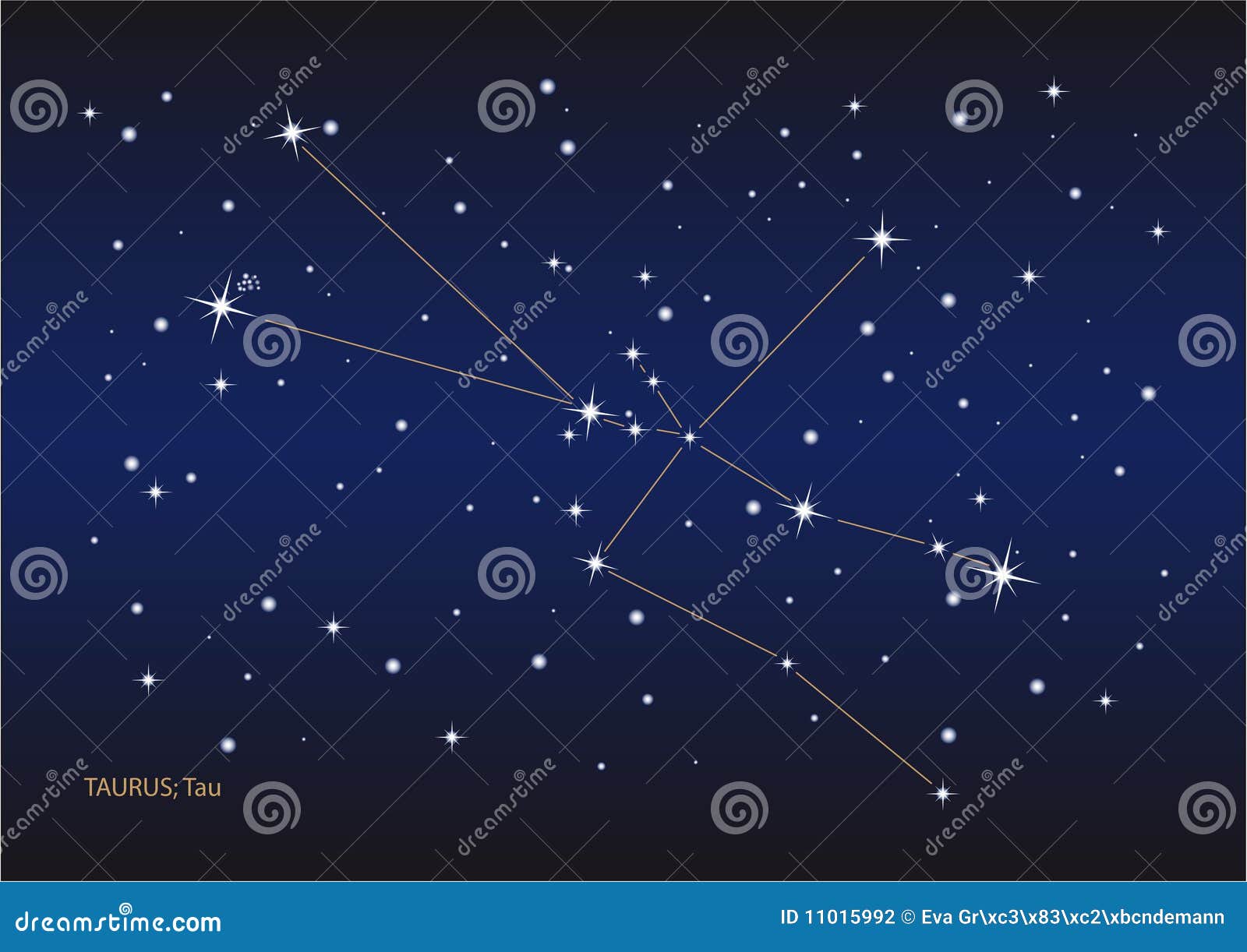 De Constellatie Van De Stier Vector Illustratie - Illustration of ...