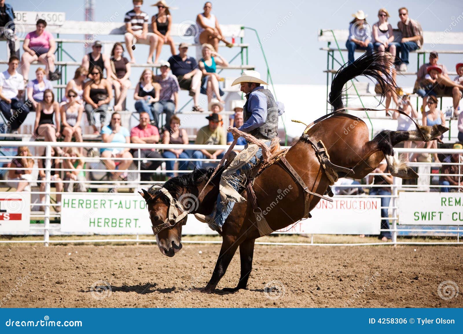 De Cowboy van de rodeo redactionele foto. Image of rijden - 4258306