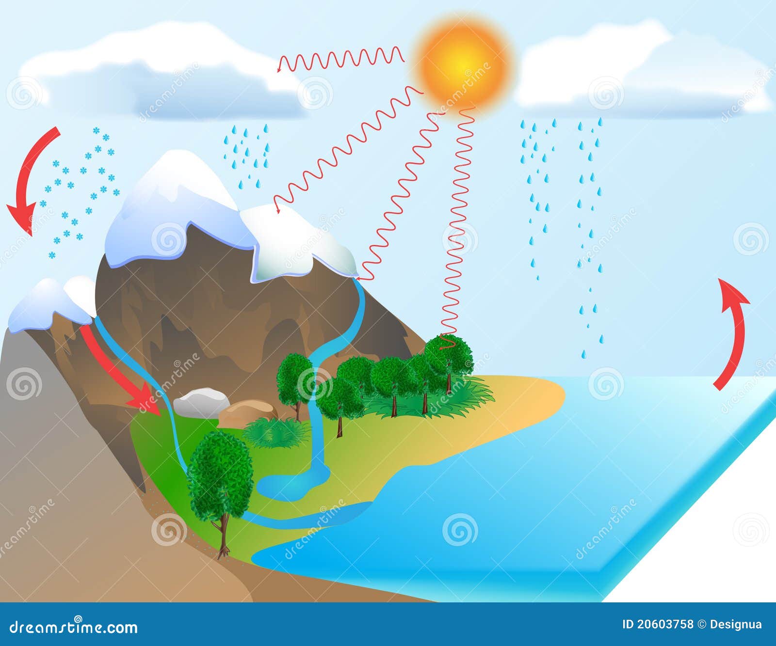 De cyclus van het water stock illustratie. Illustration of ...