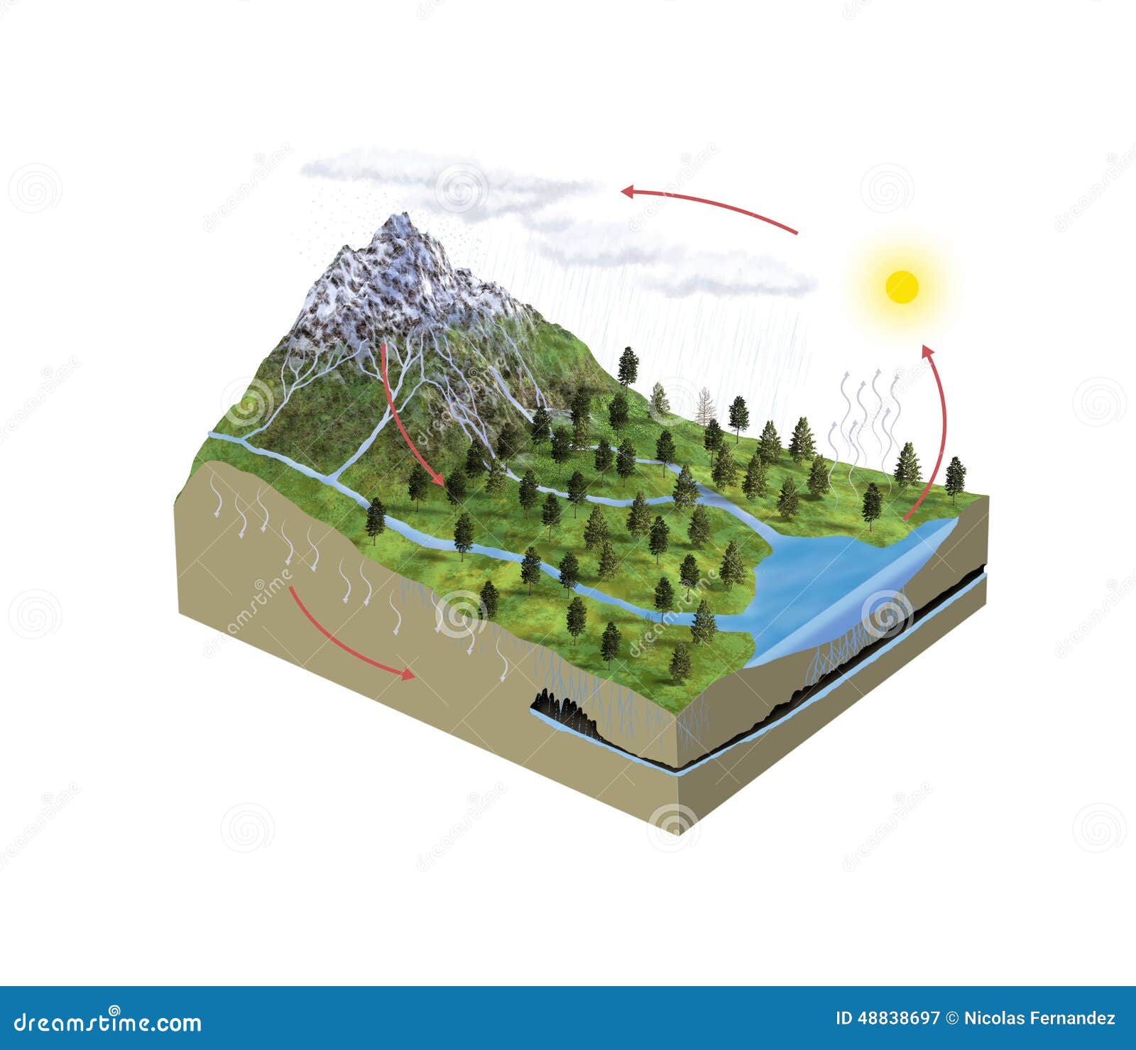 De cyclus van het water stock illustratie. Illustration of condensatie ...