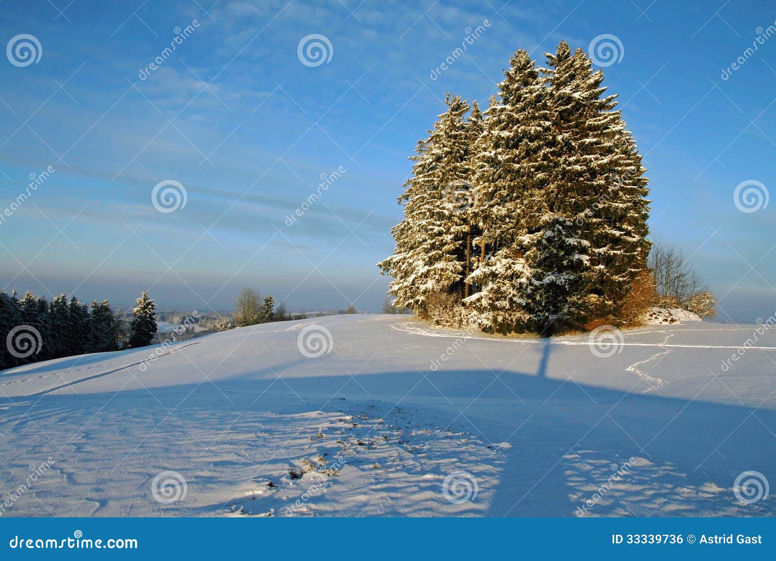 De Dag Van De Aardige Koude Winter in Beieren Stock Foto - Image of ...