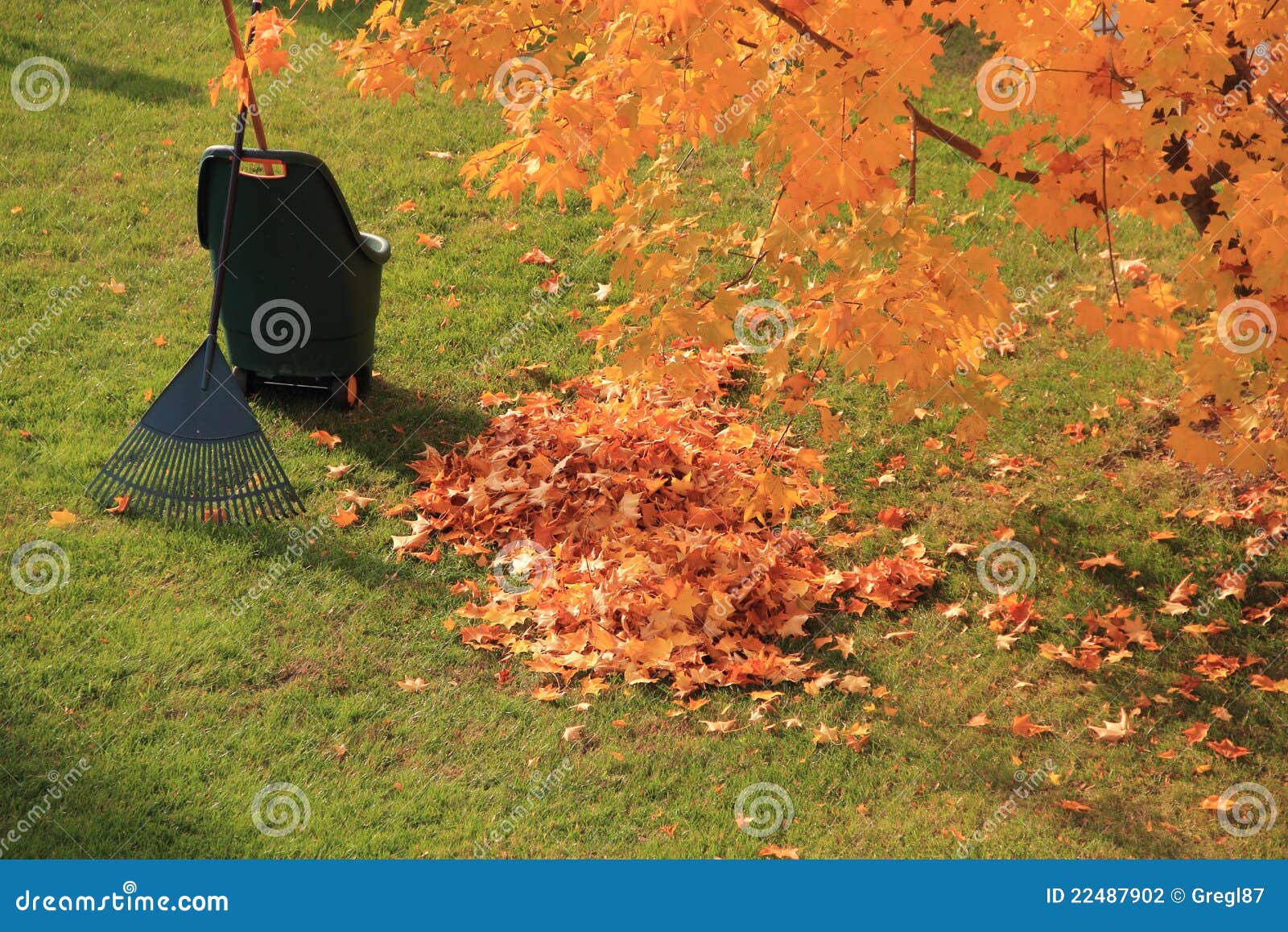 De De Dode Bladeren En Hark Van De Herfst Stock Foto - Image of winter ...