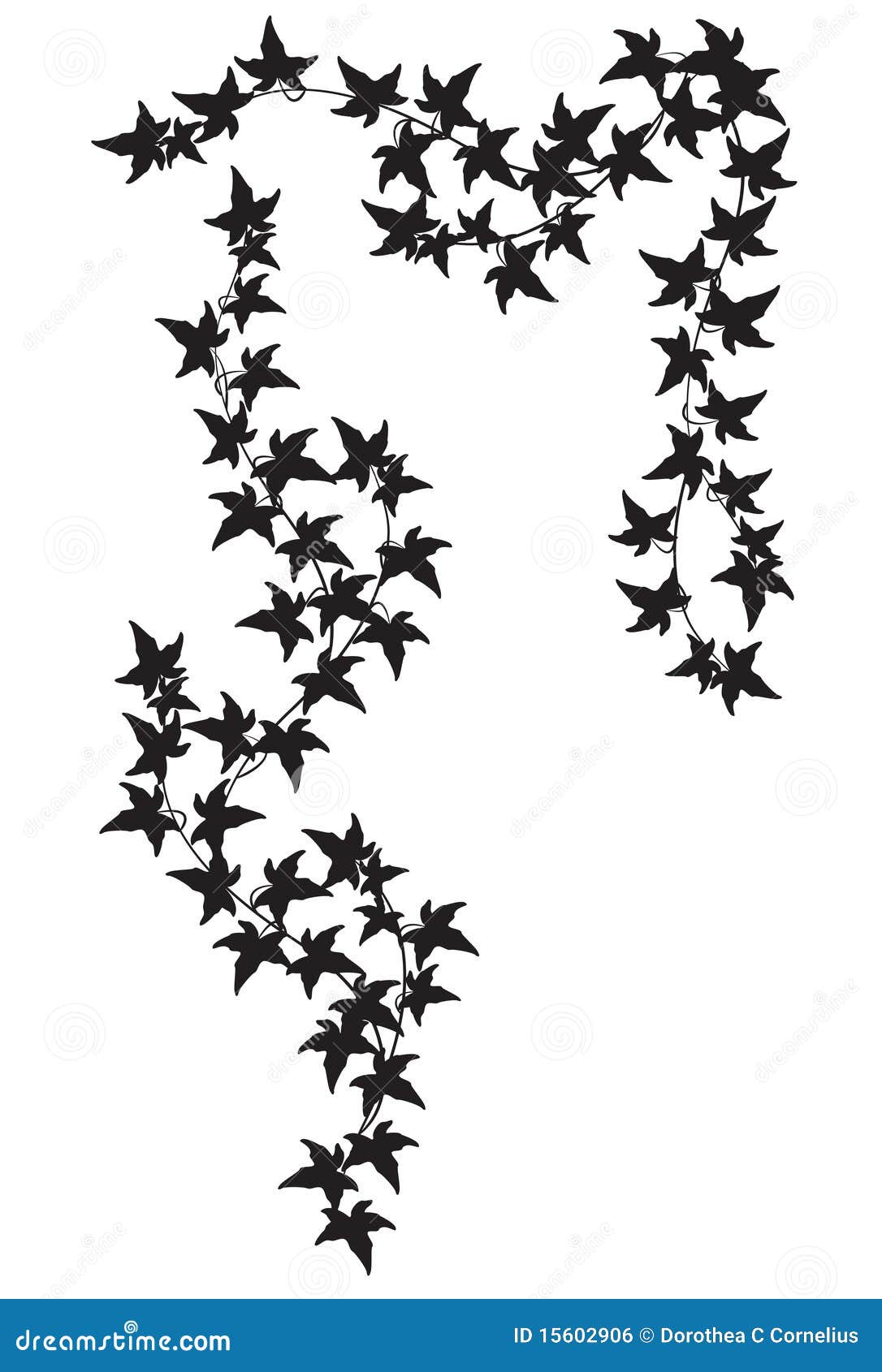 De Delen Van Het Silhouet Van Klimop Stock Illustratie - Illustration ...