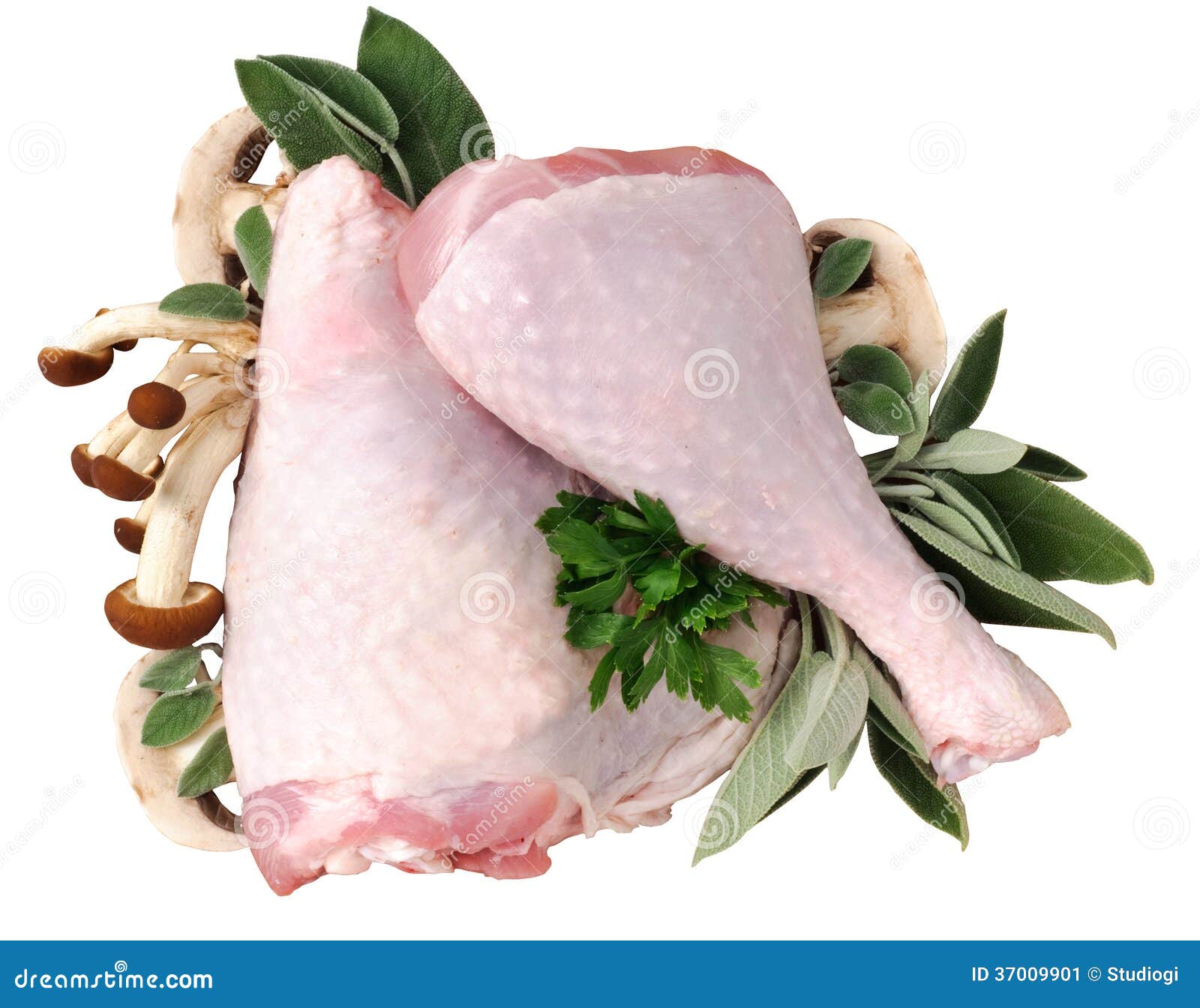 De dijen van Turkije stock afbeelding. Image of turkije - 37009901