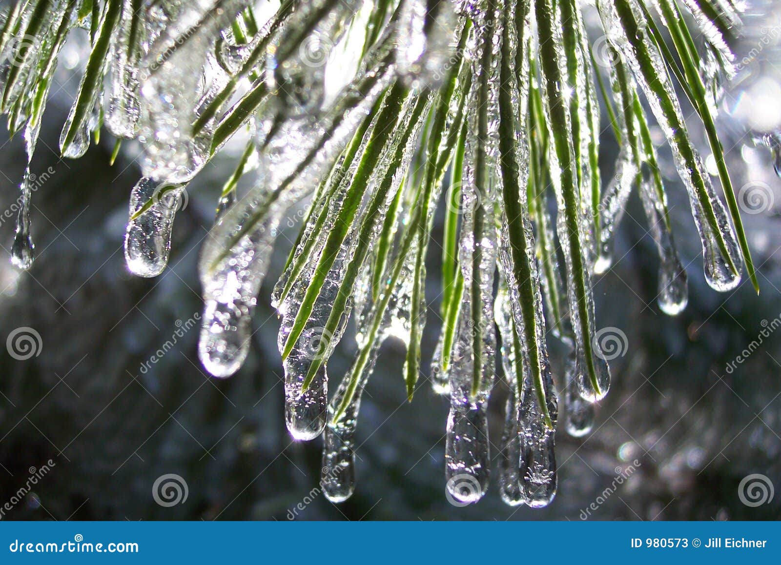 De dooi stock afbeelding. Image of koude, winter, ontruim - 980573