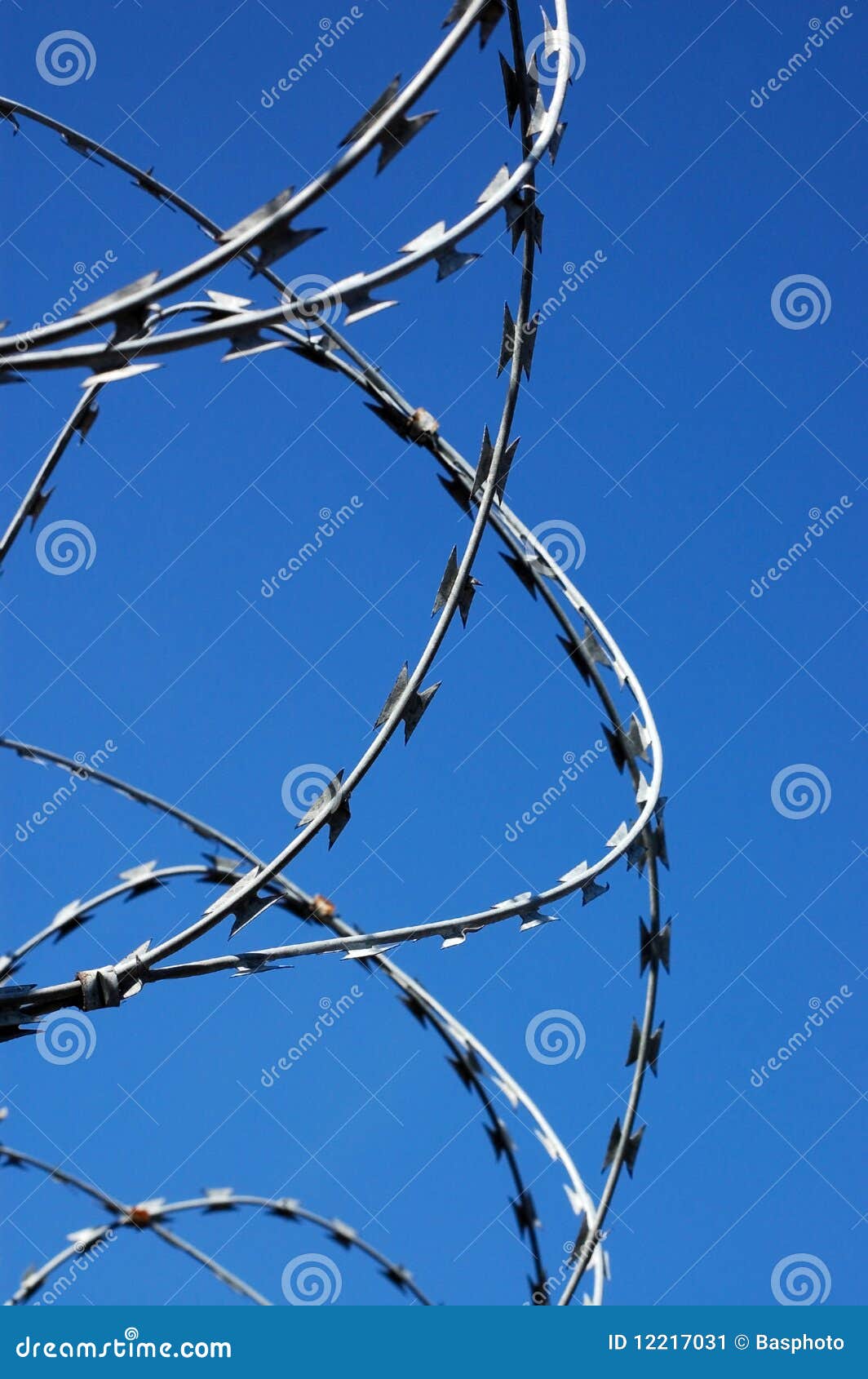 De Draad van het scheermes stock afbeelding. Image of veiligheid - 12217031