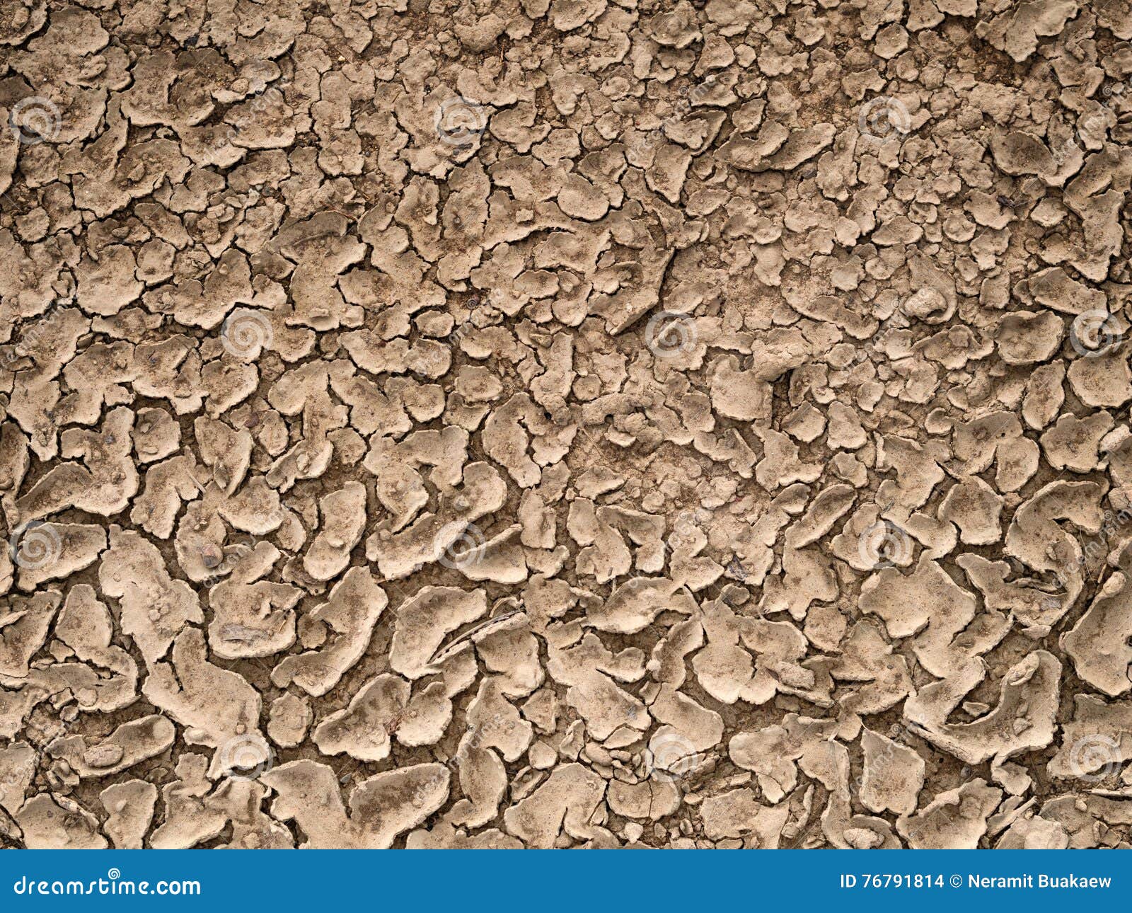 De Droge En Gebarsten Textuur Van De Grondgrond Stock Foto - Image of ...