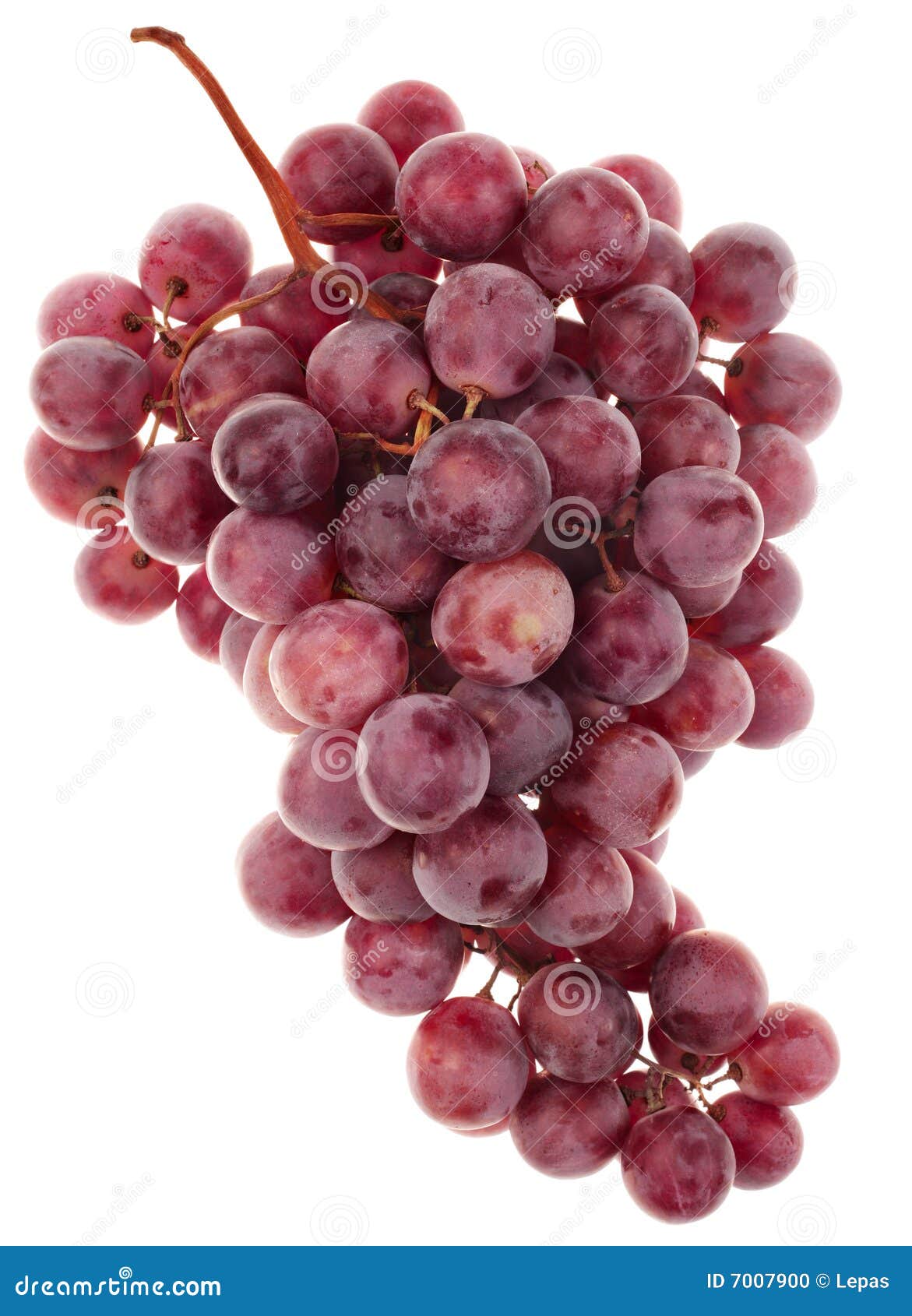 De druif van het fruit stock foto. Image of druif, niemand - 7007900
