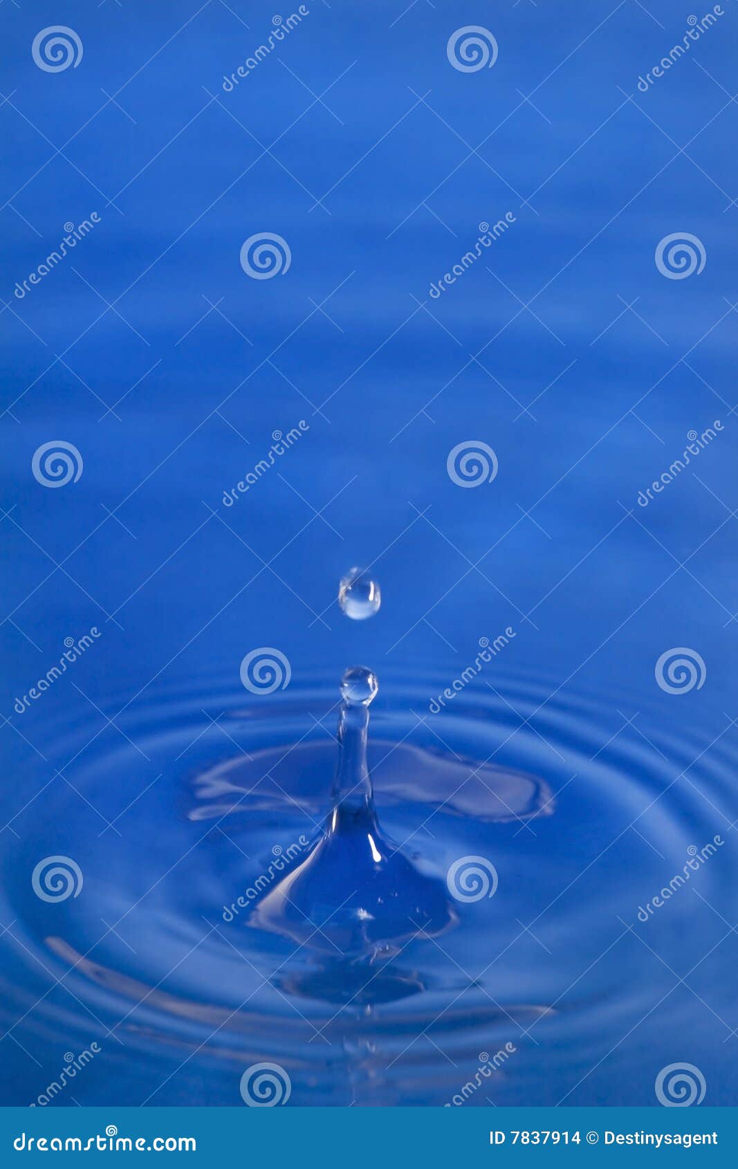 De Druppel van het water stock foto. Image of druppel - 7837914