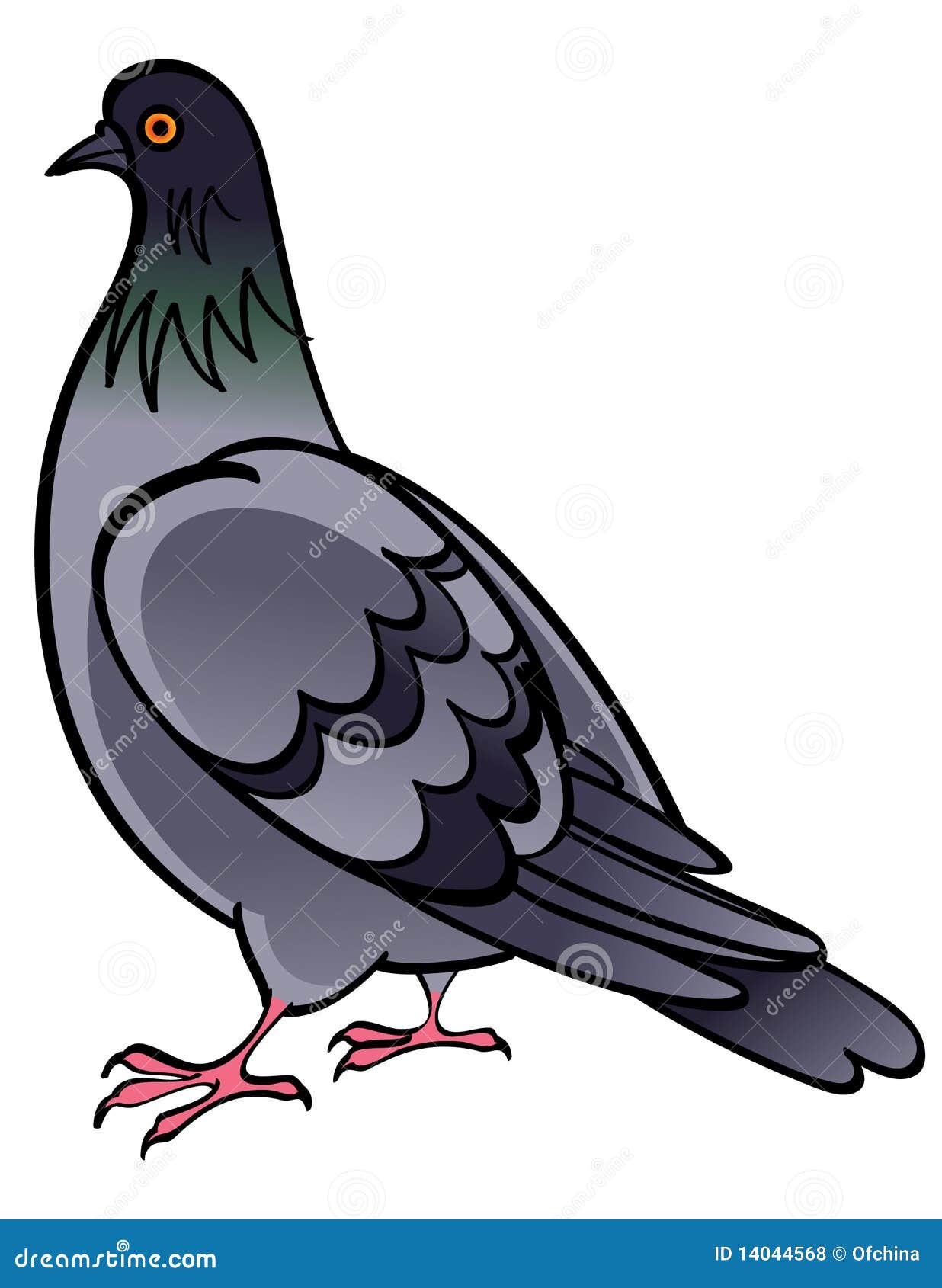 De Duif van de duif vector illustratie. Illustration of straat - 14044568