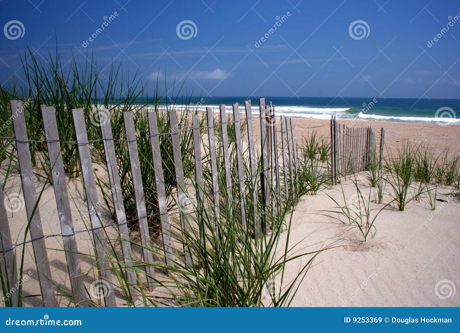 De Duinen van het strand stock afbeelding. Image of banken - 9253369
