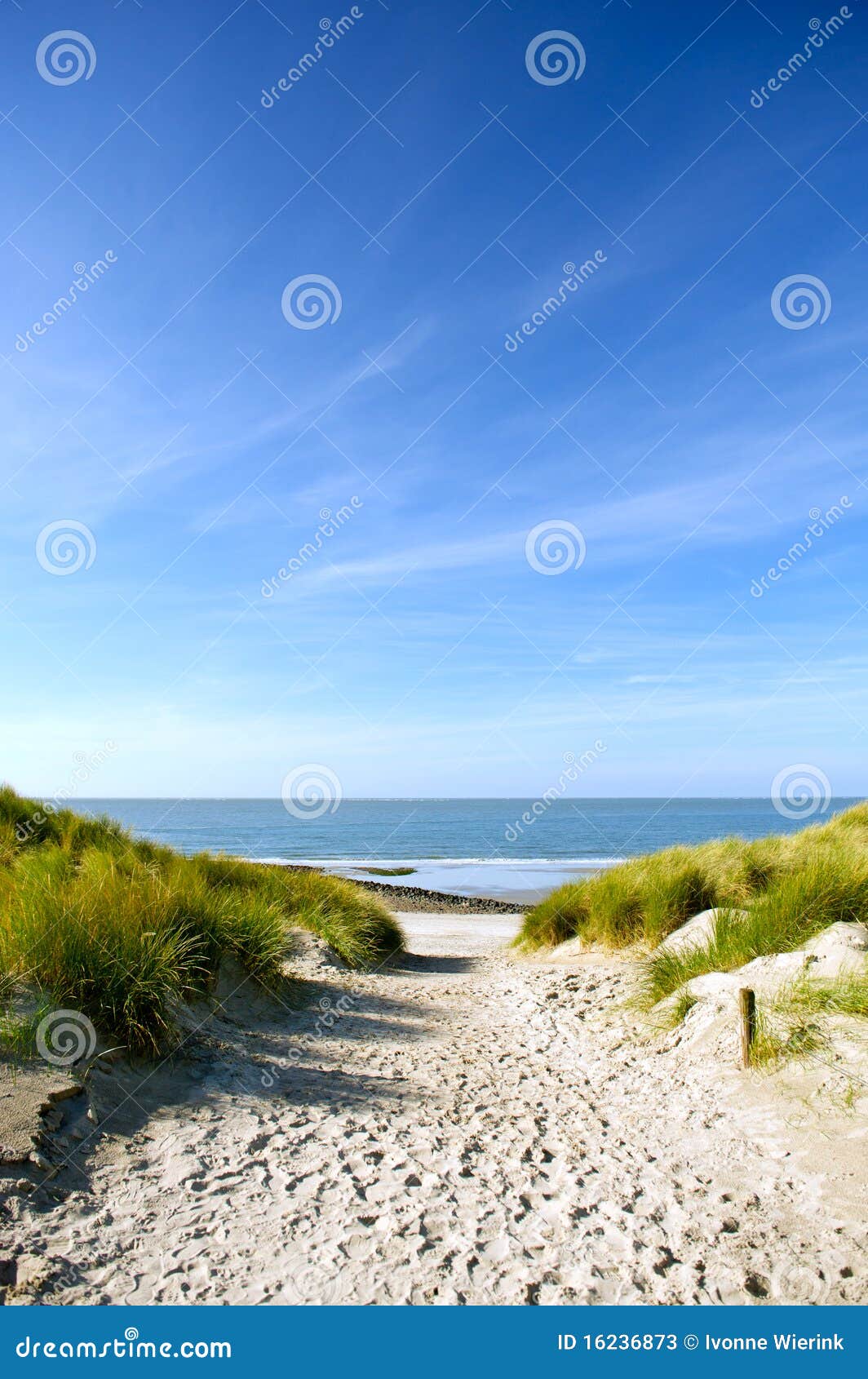 De Duinen Van Het Strand En Van Het Zand Stock Afbeelding - Image of ...