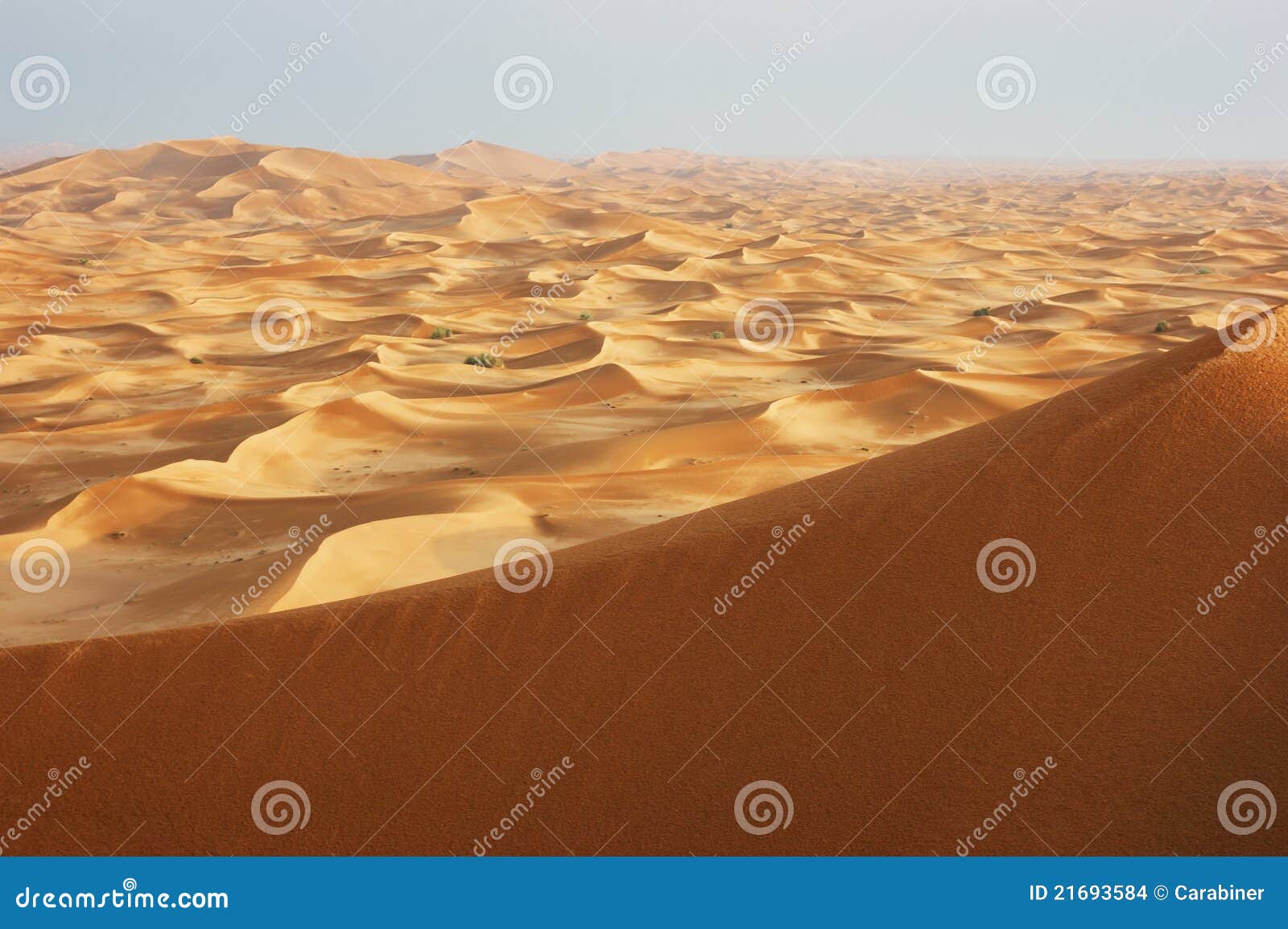 De Duinen Van Het Zand Van De Arabische Woestijn Stock Foto - Image of ...