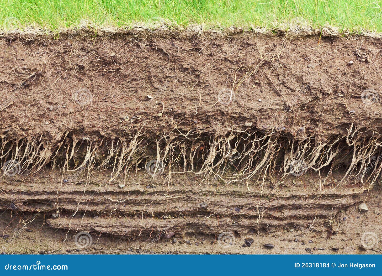 De Dwarsdoorsnede Van De Grond Stock Foto - Image of textuur, rotsen ...