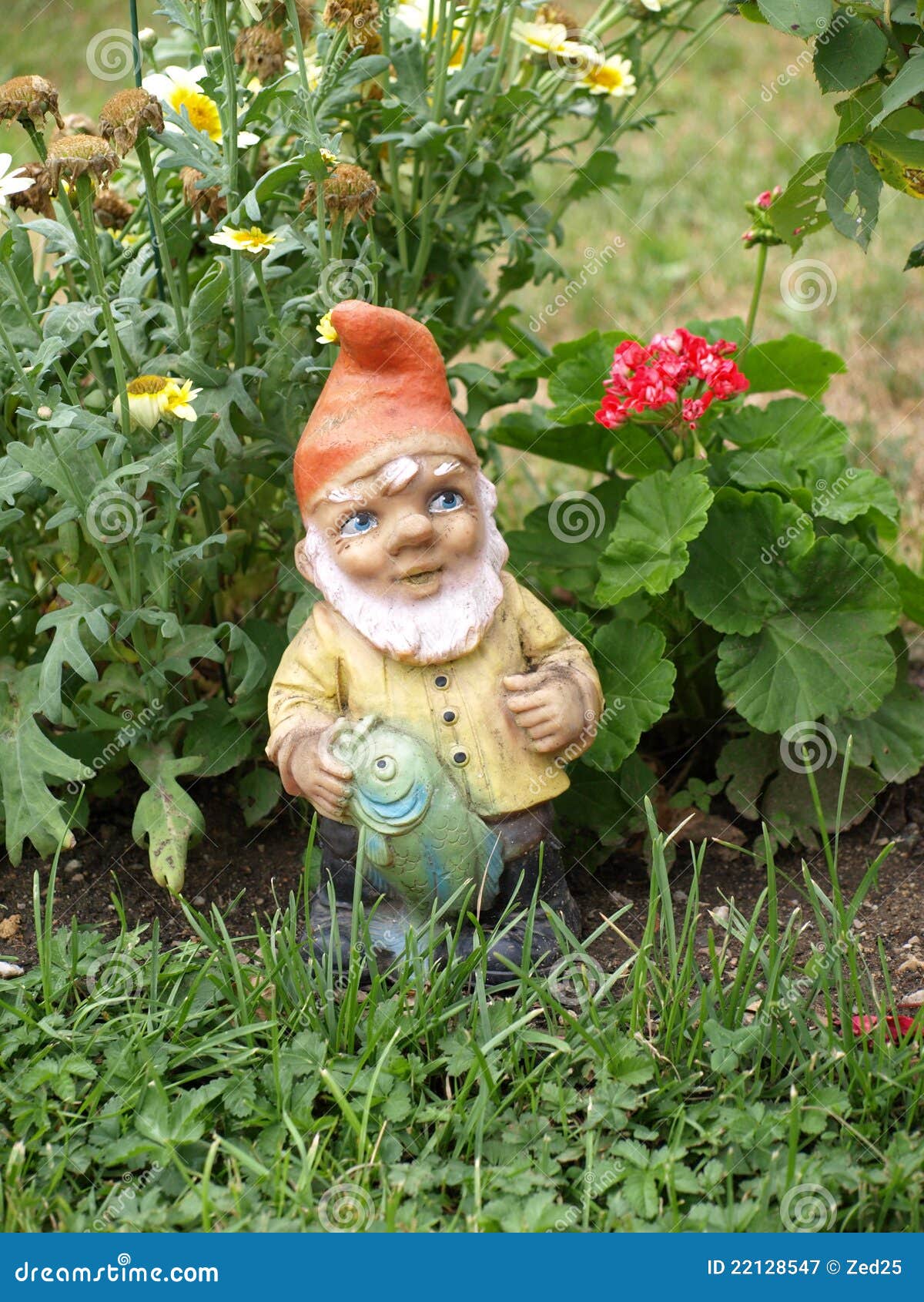 De dwerg van de tuin stock afbeelding. Image of plank - 22128547