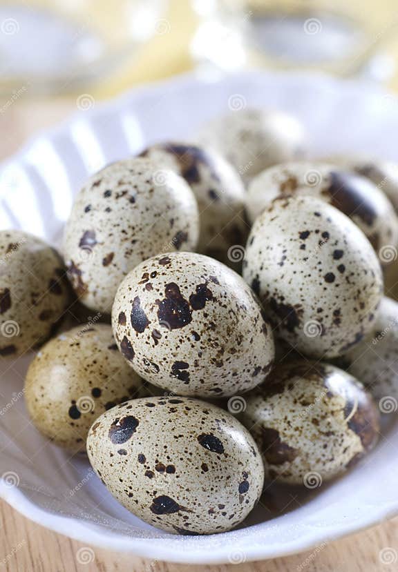 De eieren van kwartels stock foto. Image of maaltijd - 12984834