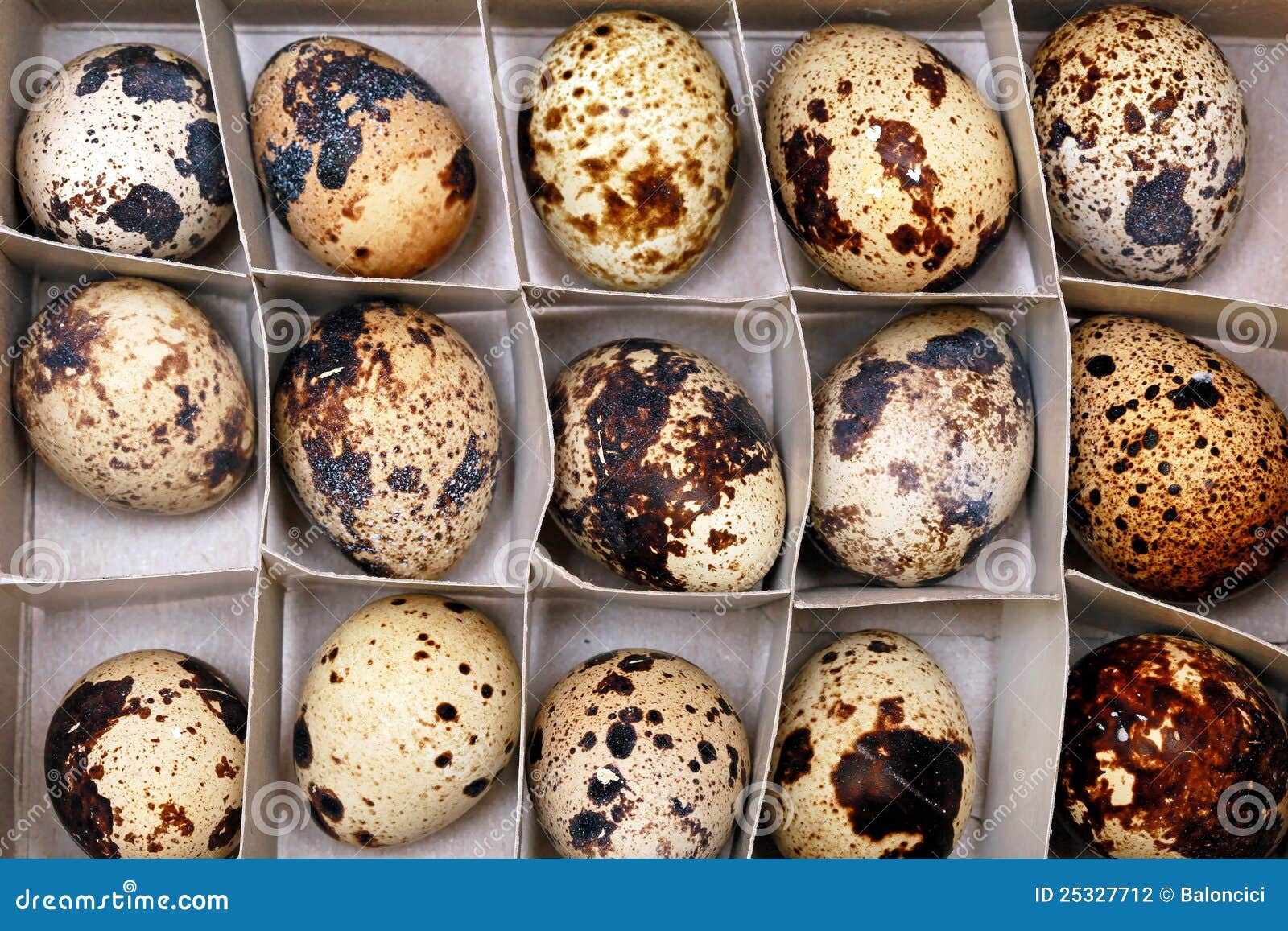 De eieren van kwartels stock foto. Image of voedsel, organisch - 25327712