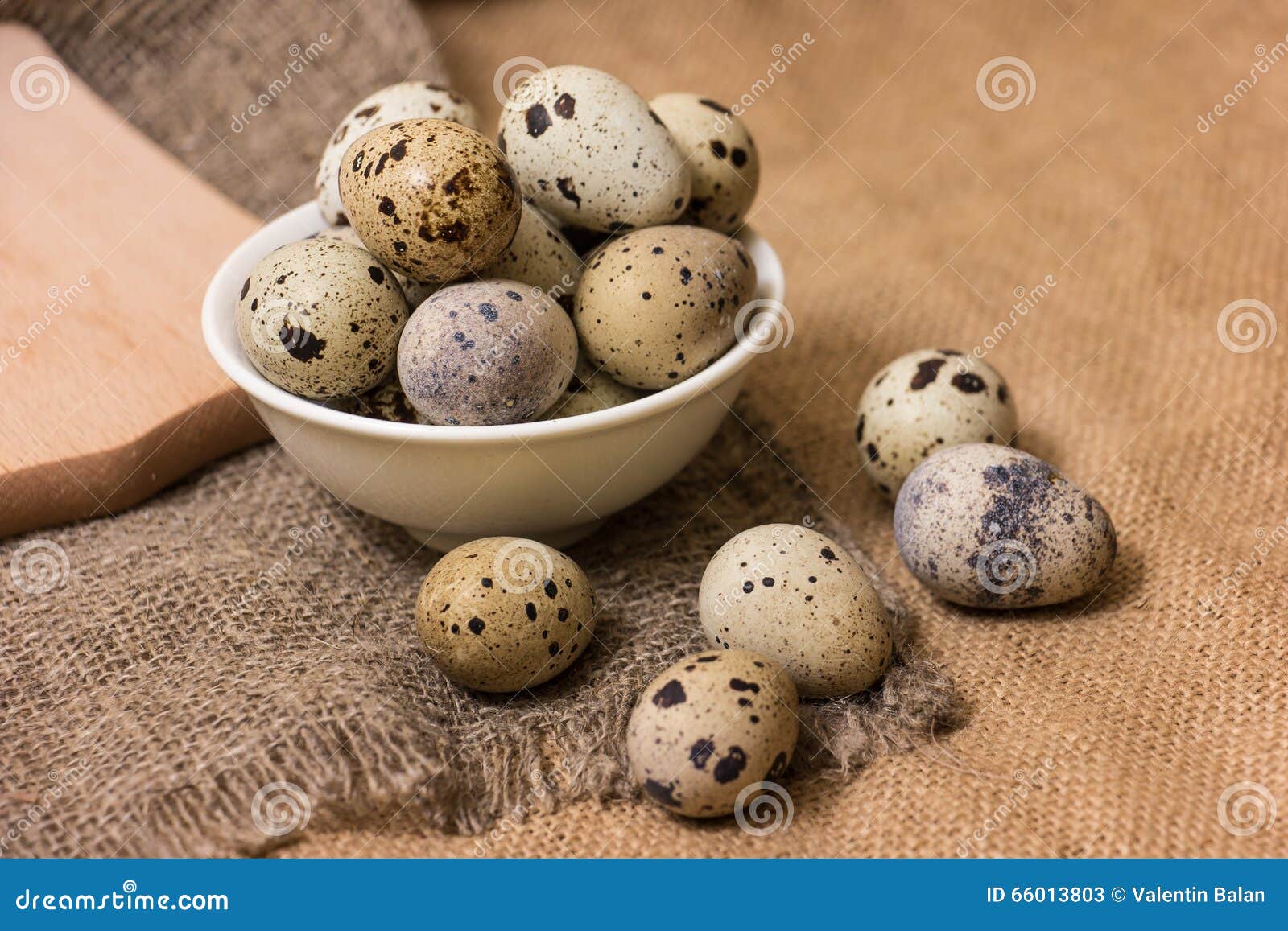 De eieren van kwartels stock afbeelding. Image of gezond - 66013803
