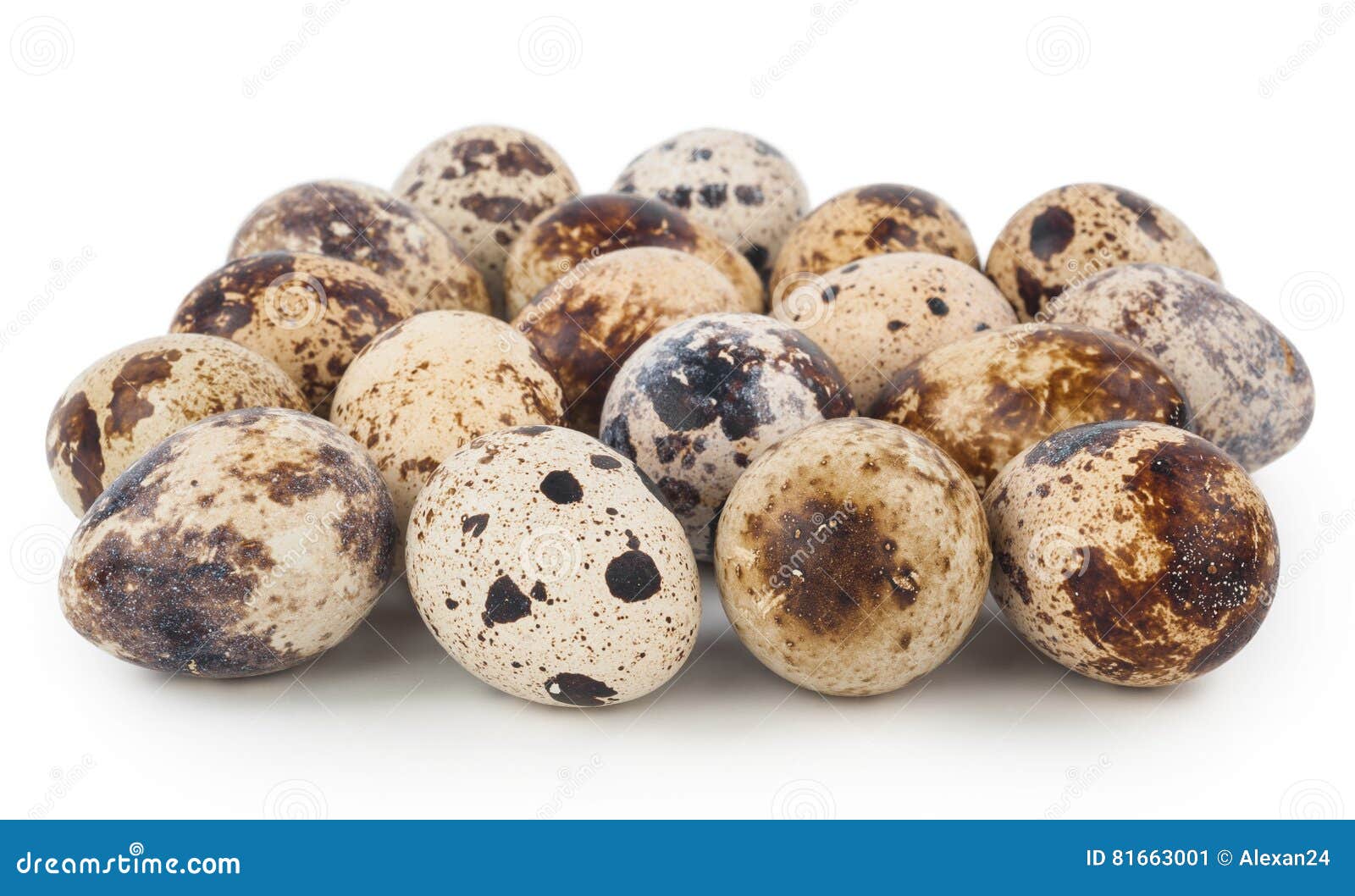 De eieren van kwartels stock afbeelding. Image of eieren - 81663001