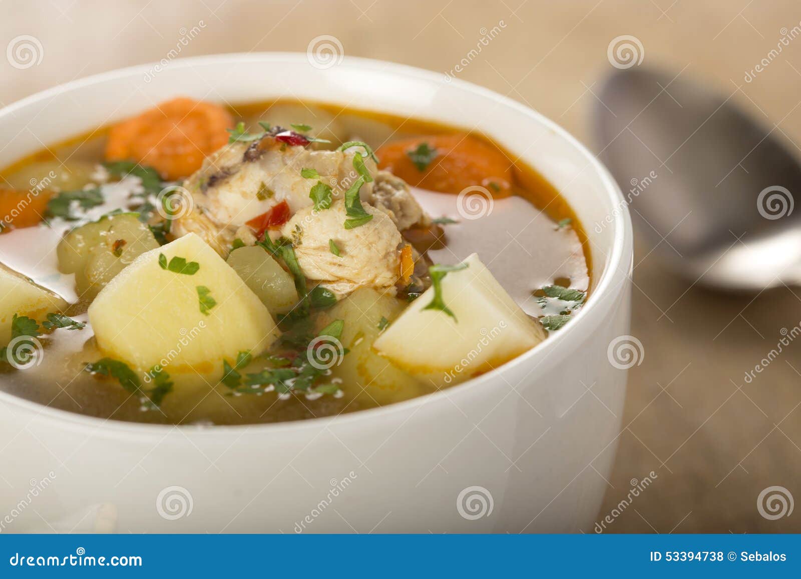 De Eigengemaakte Soep Van De Kip Stock Foto - Image of sluit ...