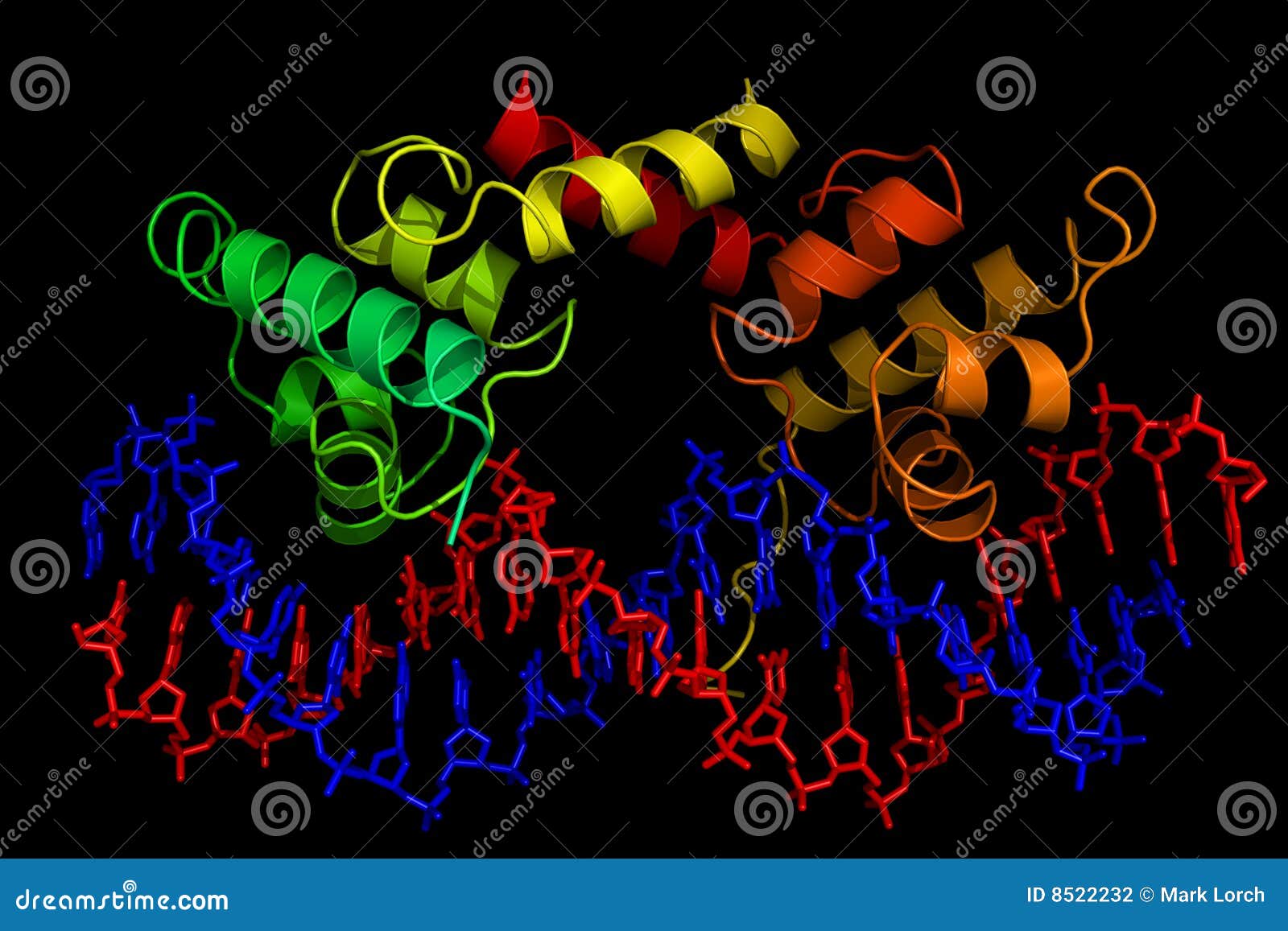 De Eiwit Structuur Van De Molecule Stock Illustratie - Illustration of ...