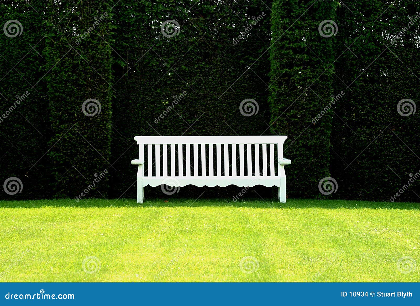 De Engelse Bank Van De Tuin Stock Foto - Image of weide, geïsoleerd: 10934