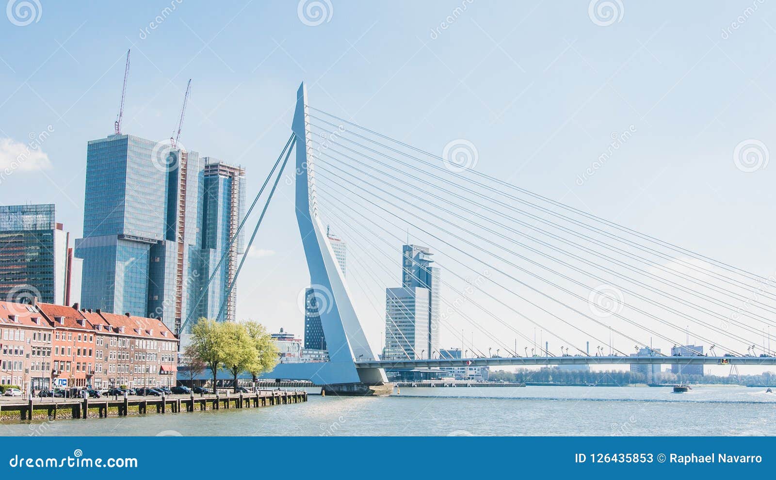 De Erasmus Brug in Rotterdam in Nederland Redactionele Stock Foto ...