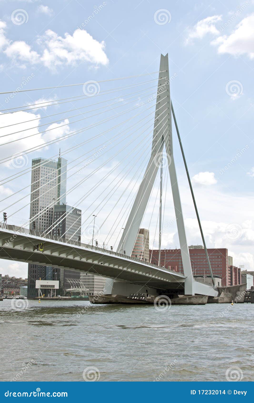 De Erasmus Brug in Rotterdam Nederland Redactionele Stock Afbeelding ...