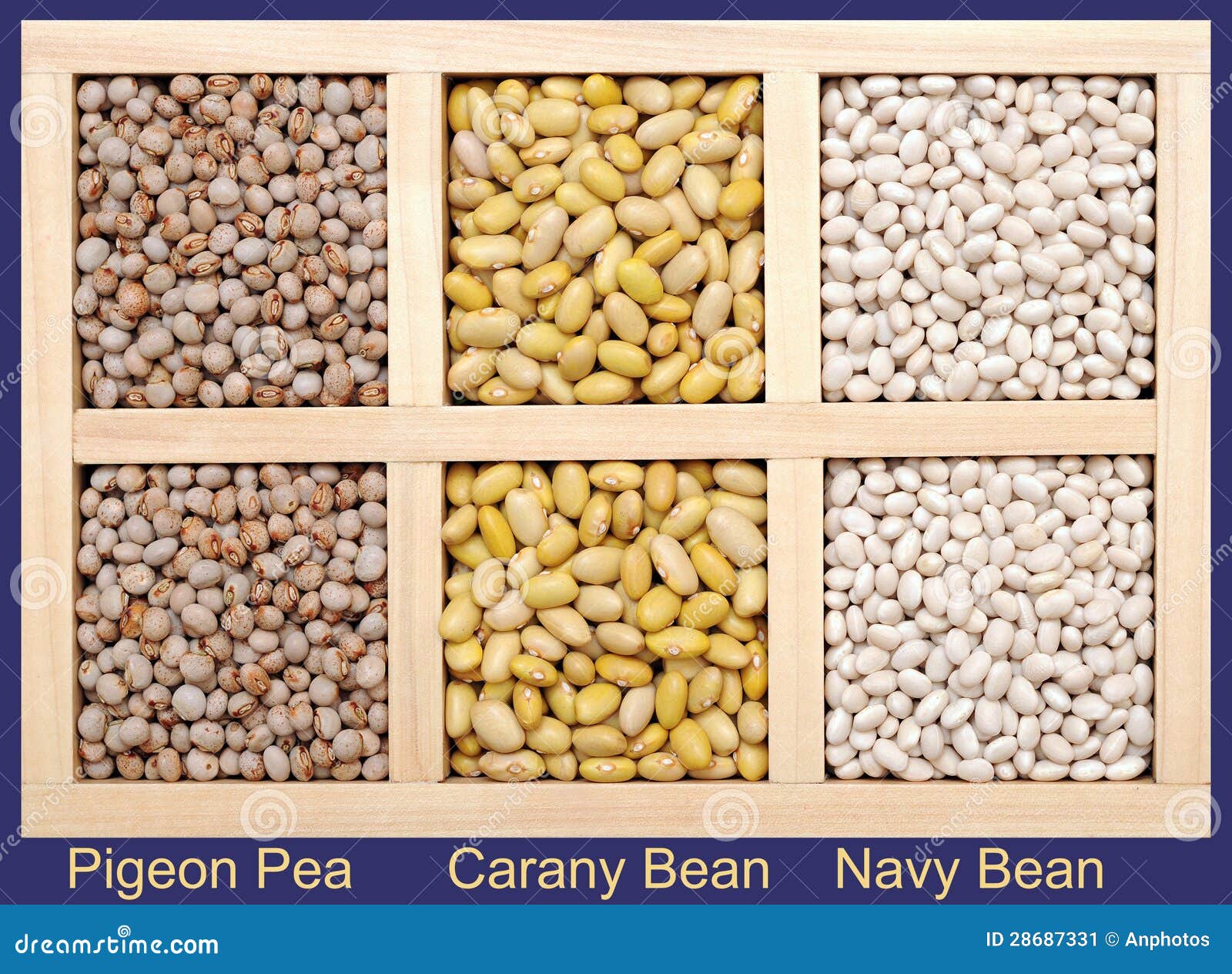 De Erwt Van De Duif, Boon Carany, En De Boon Van De Marine Stock ...