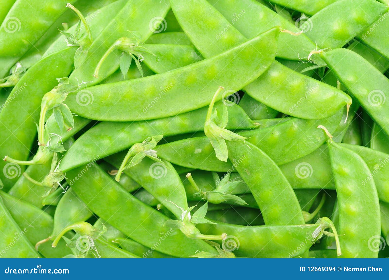 De erwten van de sneeuw stock foto. Image of groen, eten - 12669394