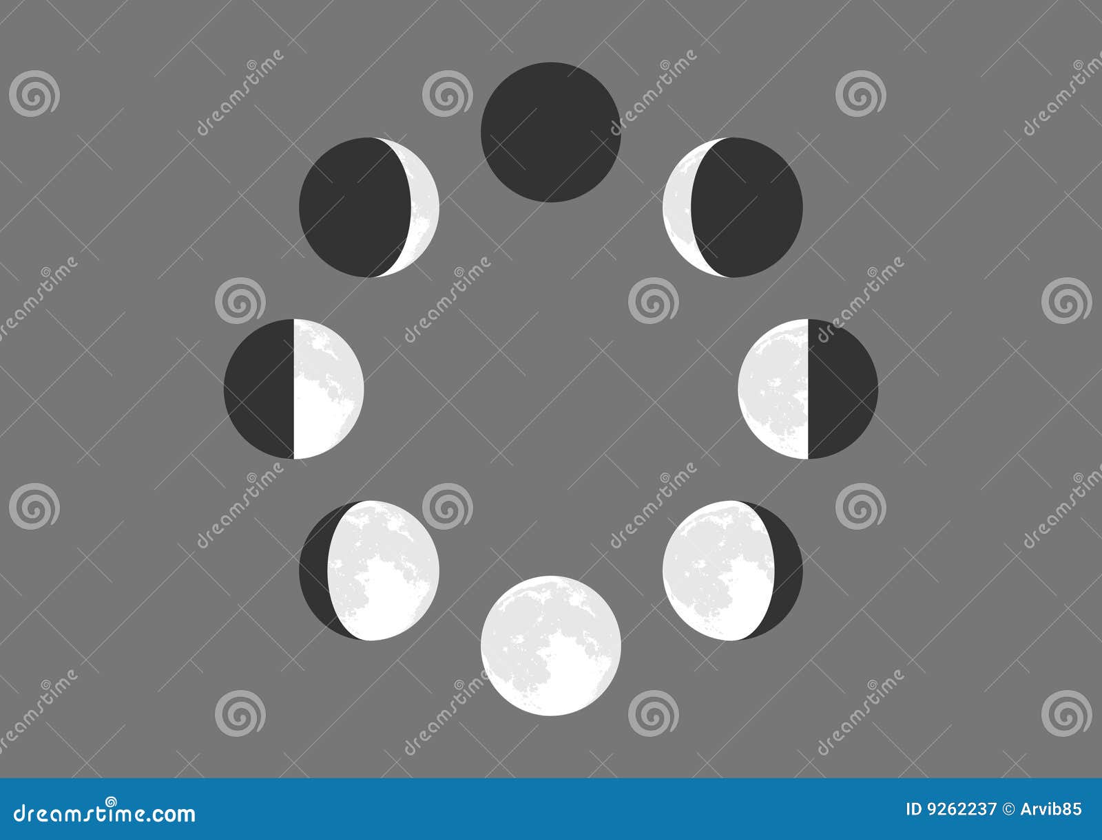 De Fasen van de maan vector illustratie. Illustration of afnemen - 9262237