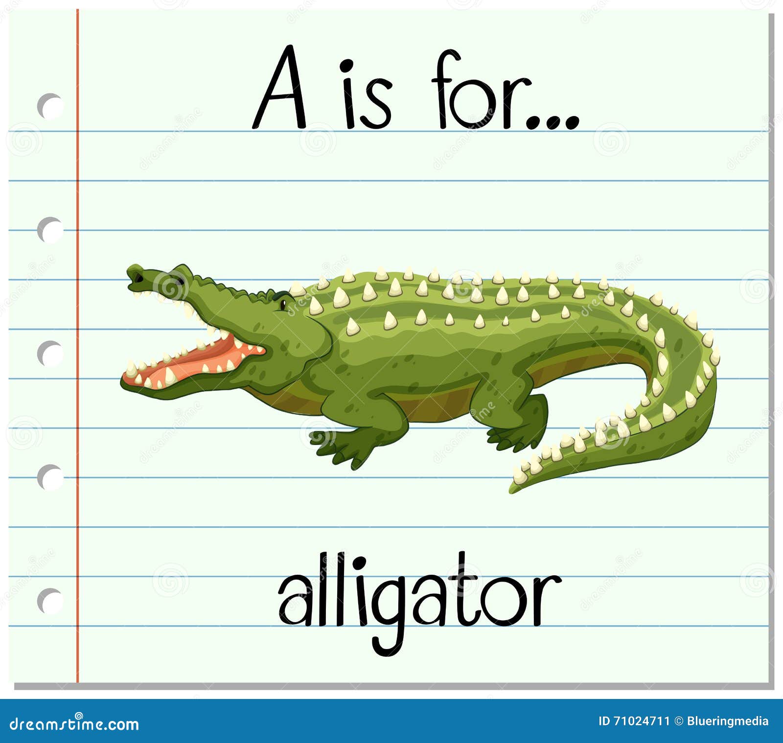 De Flashcardbrief a is Voor Alligator Vector Illustratie - Illustration ...