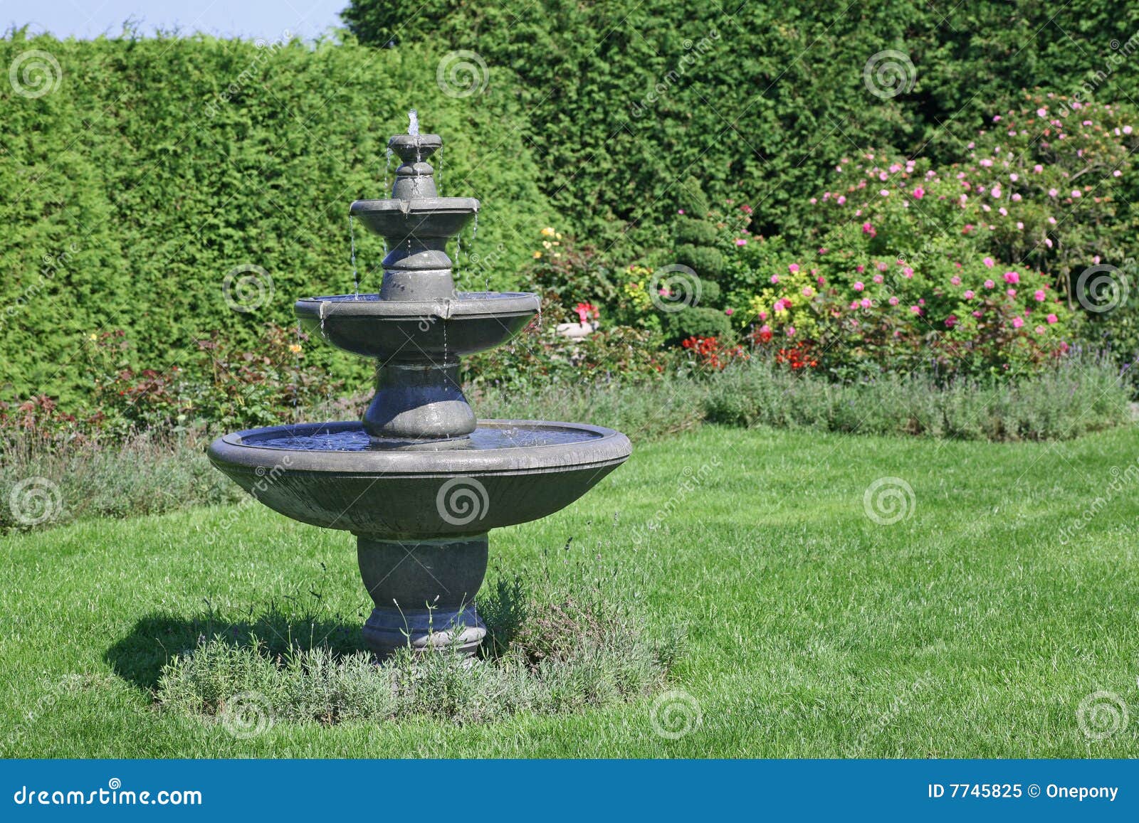 De Fontein van de tuin stock afbeelding. Image of bloesem - 7745825