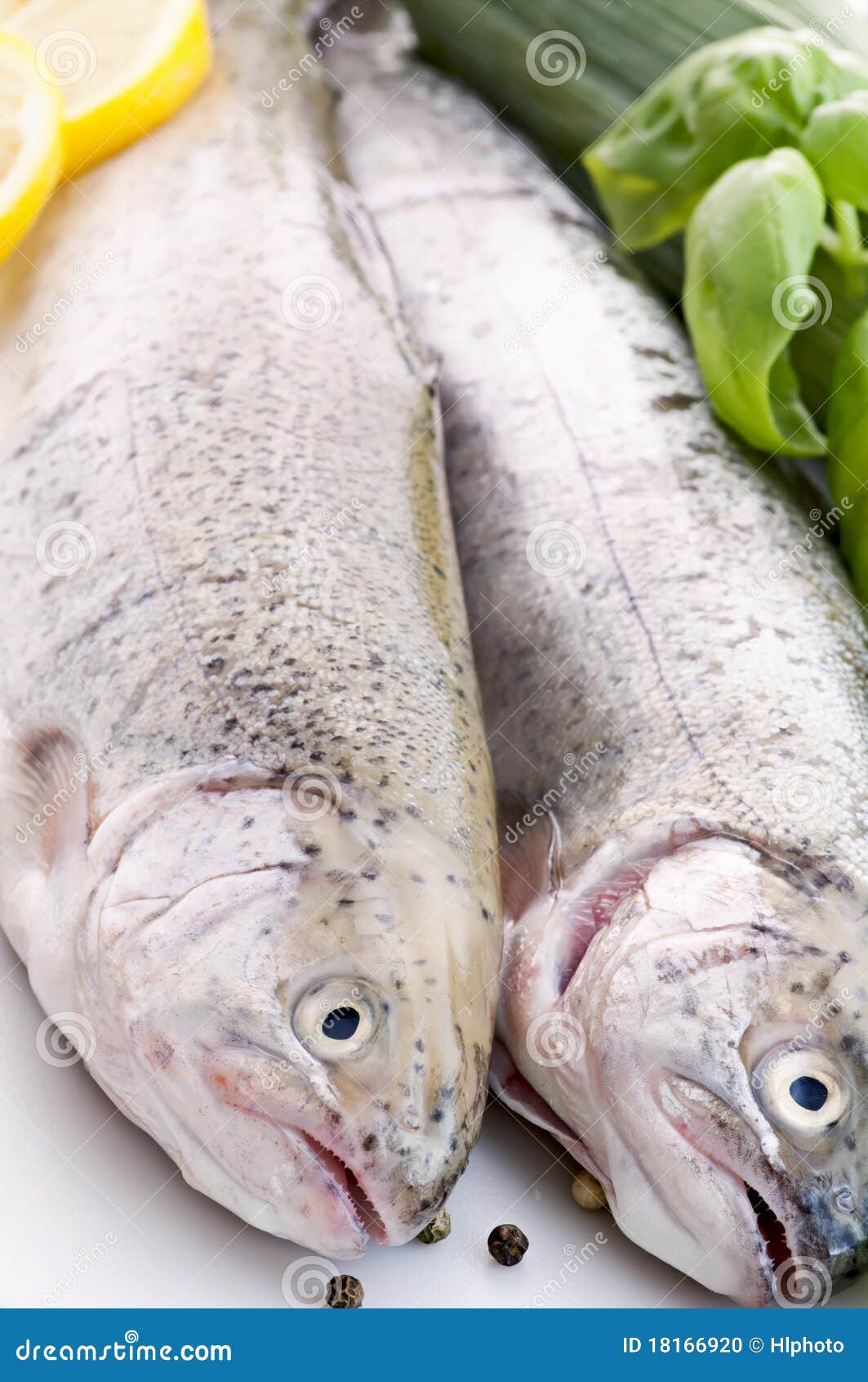 De Forel van de regenboog stock foto. Image of schotel - 18166920