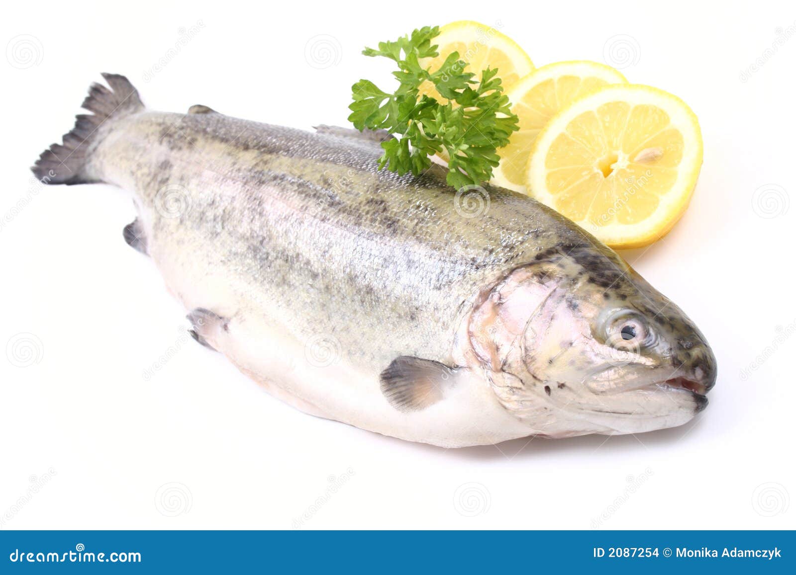 De forel van de regenboog stock foto. Image of forel, keuken - 2087254