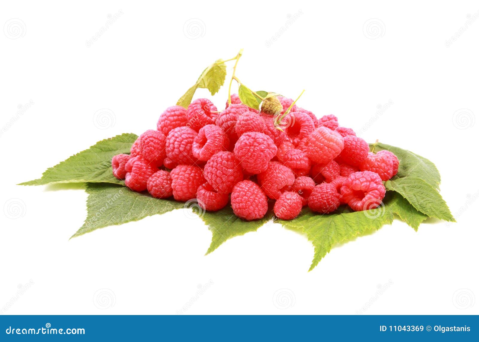 De Frambozen Met Doorbladert Stock Afbeelding - Image of hoog, gezond ...