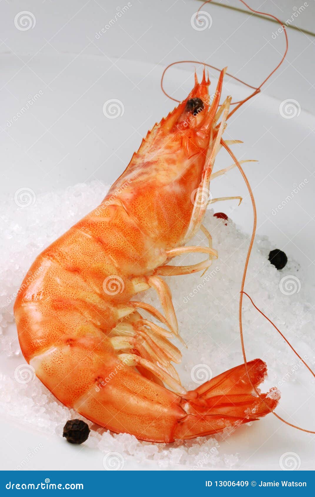 De Garnalen Kookten Dicht Omhoog Stock Afbeelding - Image of tropisch ...