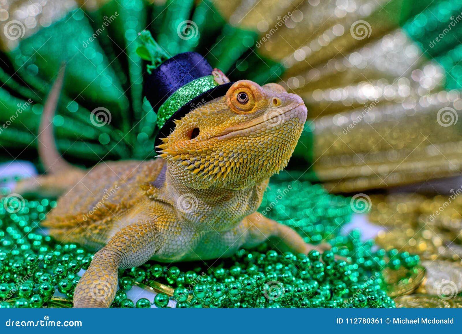 De Gebaarde Dag Van Dragon Celebrating St Patrick ` S Stock Afbeelding ...
