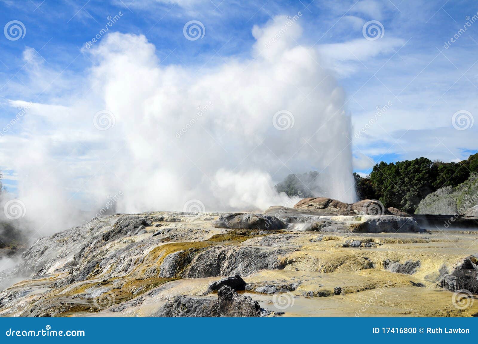 De Geiser Van Puia Van Te - Rotorua Stock Foto - Image of schieten ...
