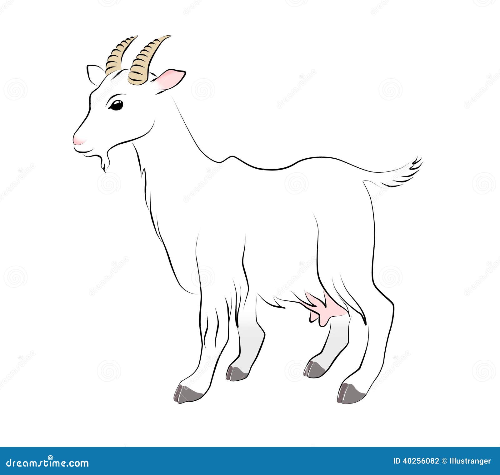 De Geit Van De Contourtekening Stock Illustratie - Illustration of ...