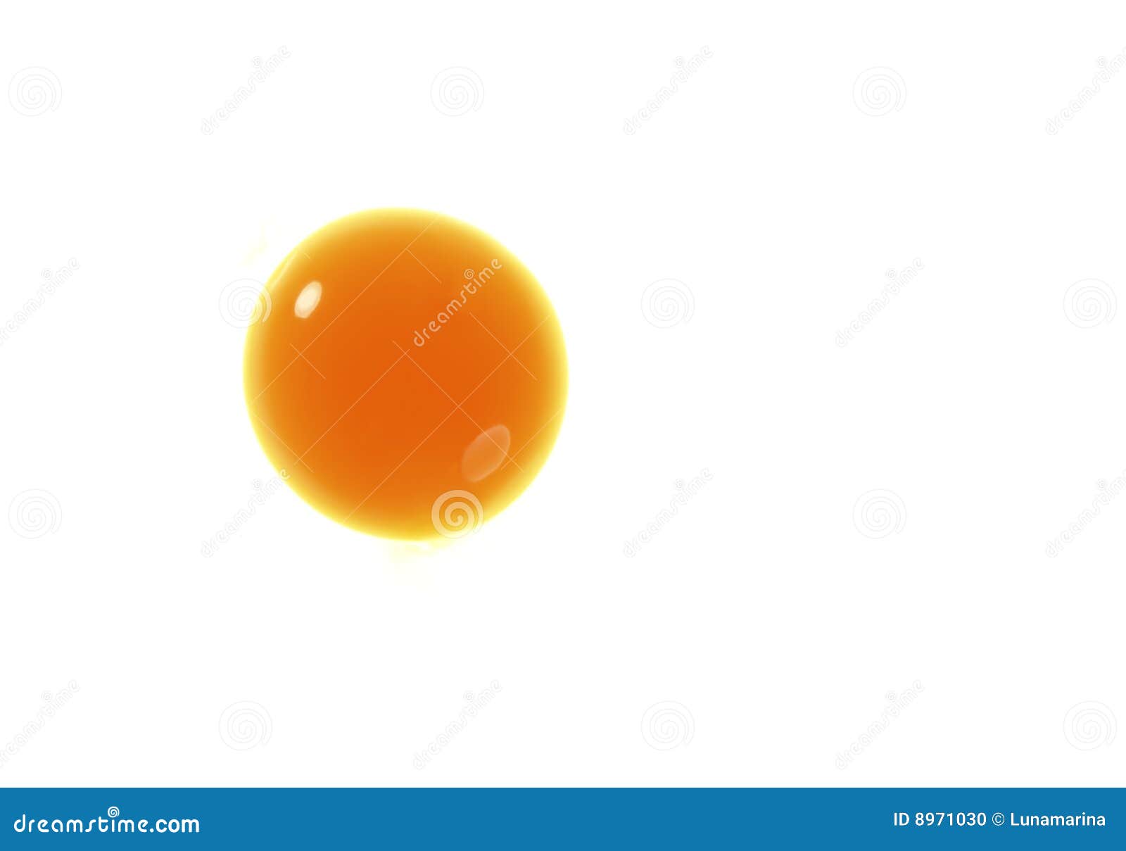 De Gele Dooier Van Het Ei Die Over Wit Wordt Geïsoleerde Stock Foto ...